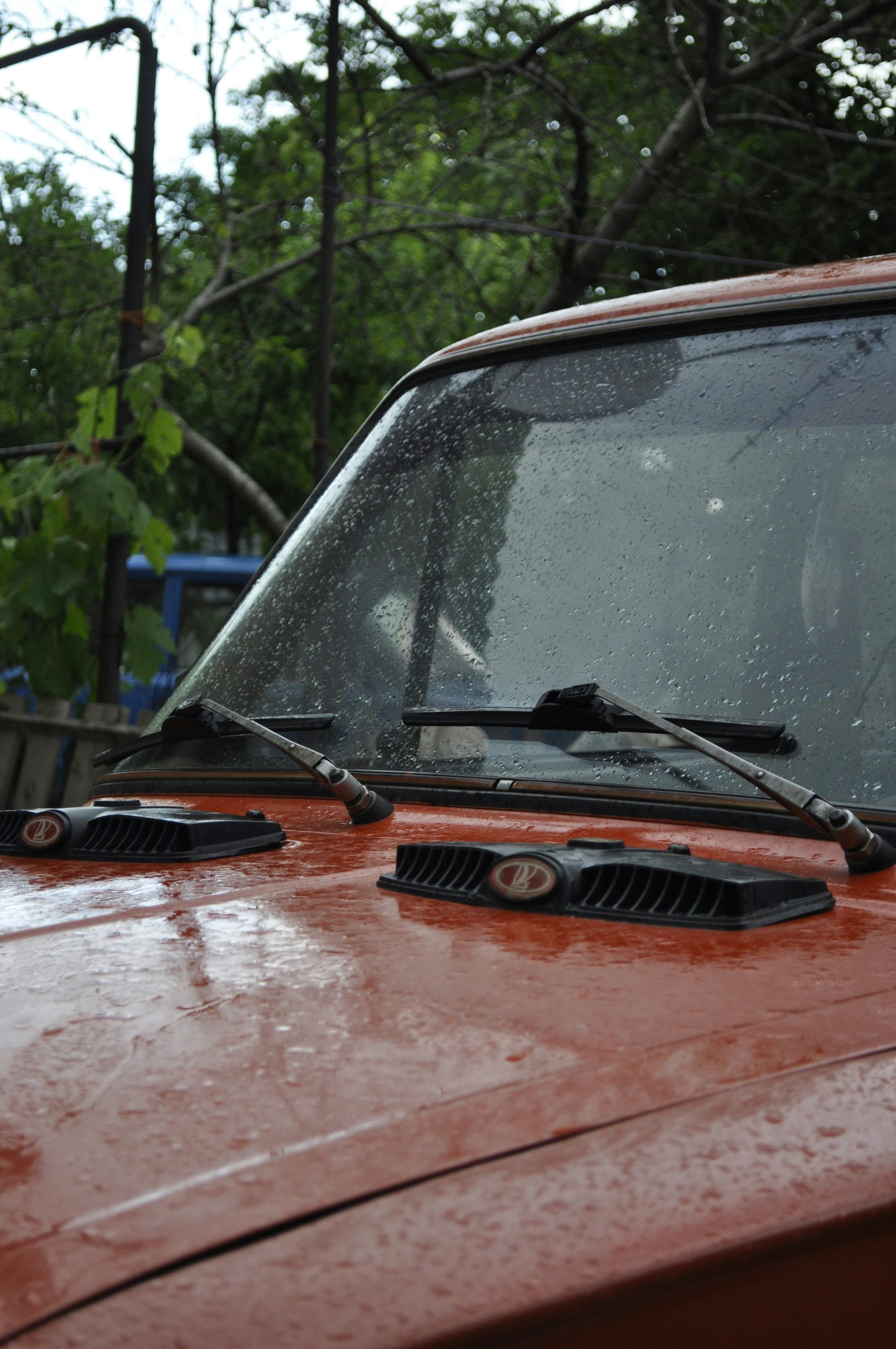 Rain on a Red Hood: The Quiet Guard of an Old Utility Vehicle