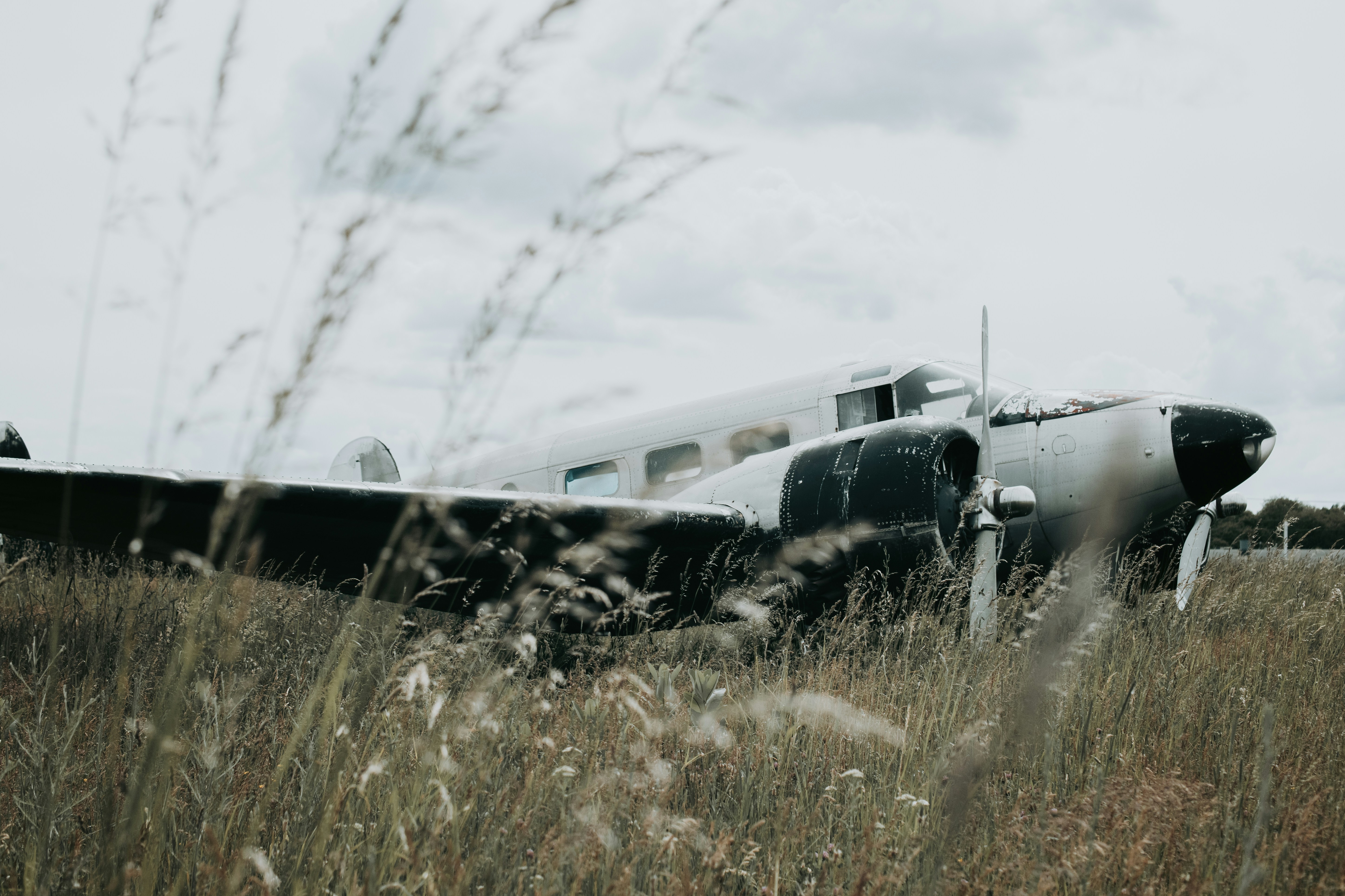 a train in a field