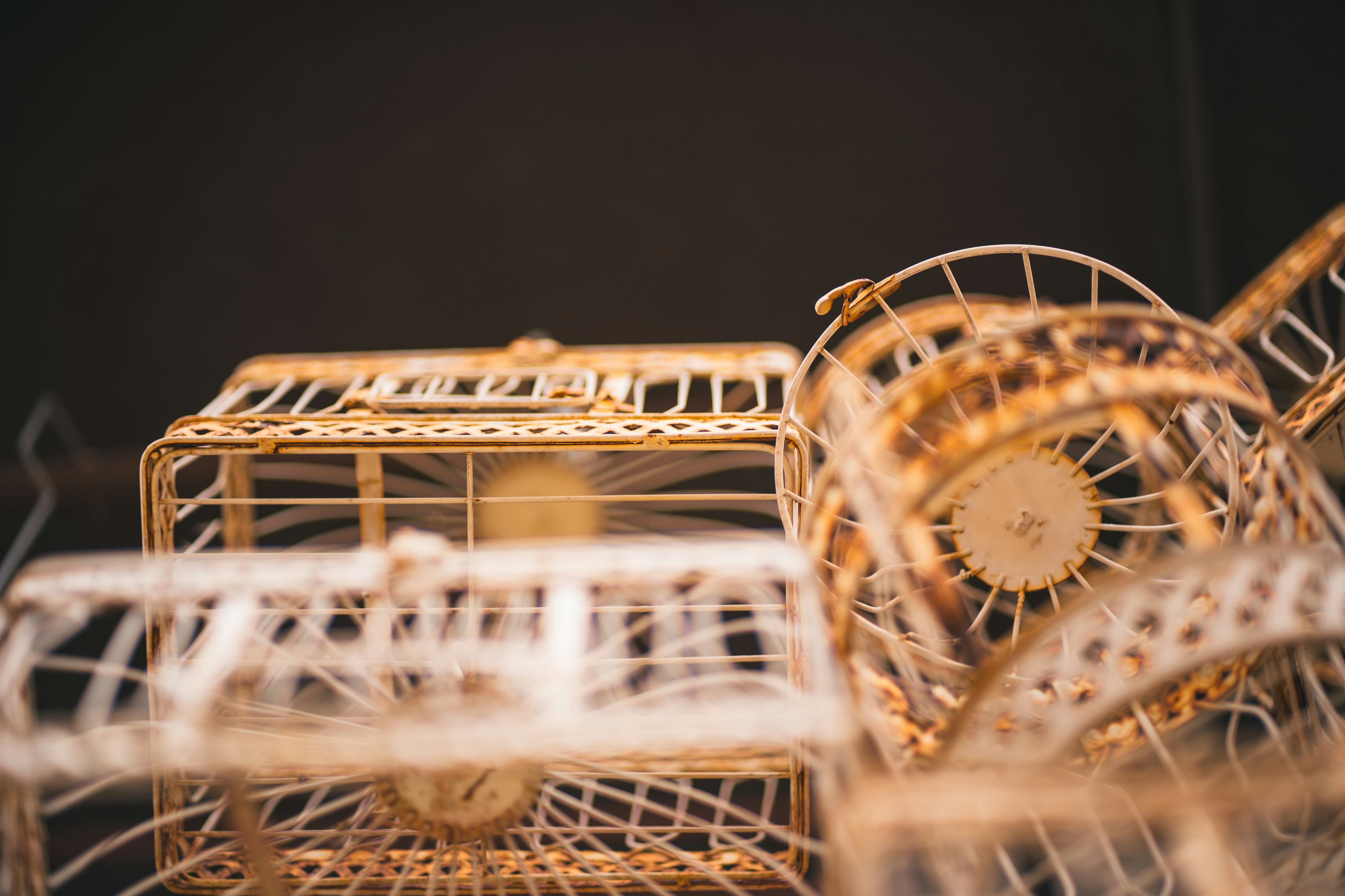 Gilded Mesh in Quiet Light: Circular Wire Cages as Still Life