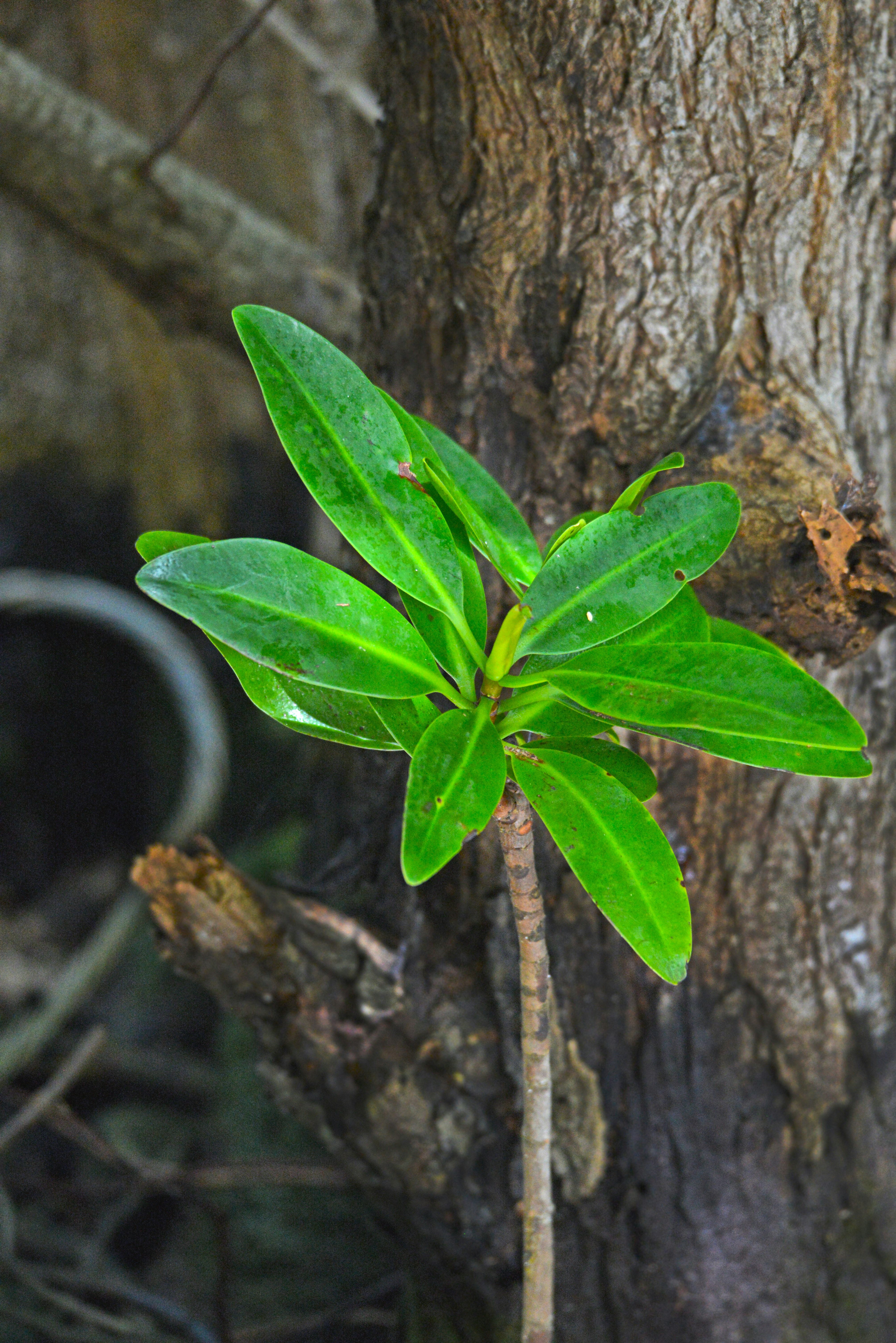 Thomas Currell Photos | Télécharger des images gratuites sur Unsplash