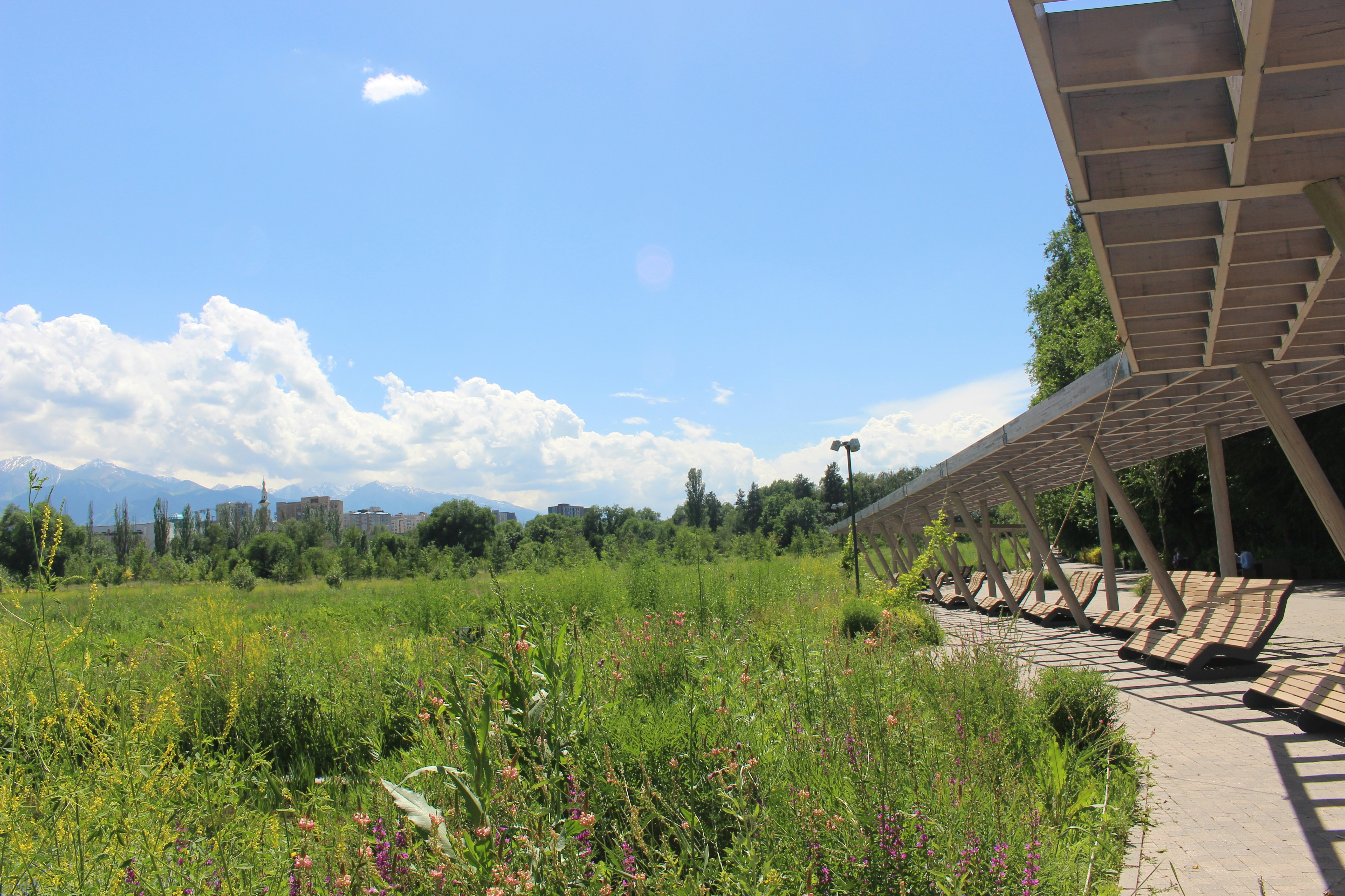 Almaty Botanical Garden (2026) – Best of TikTok, Instagram & Reddit ...