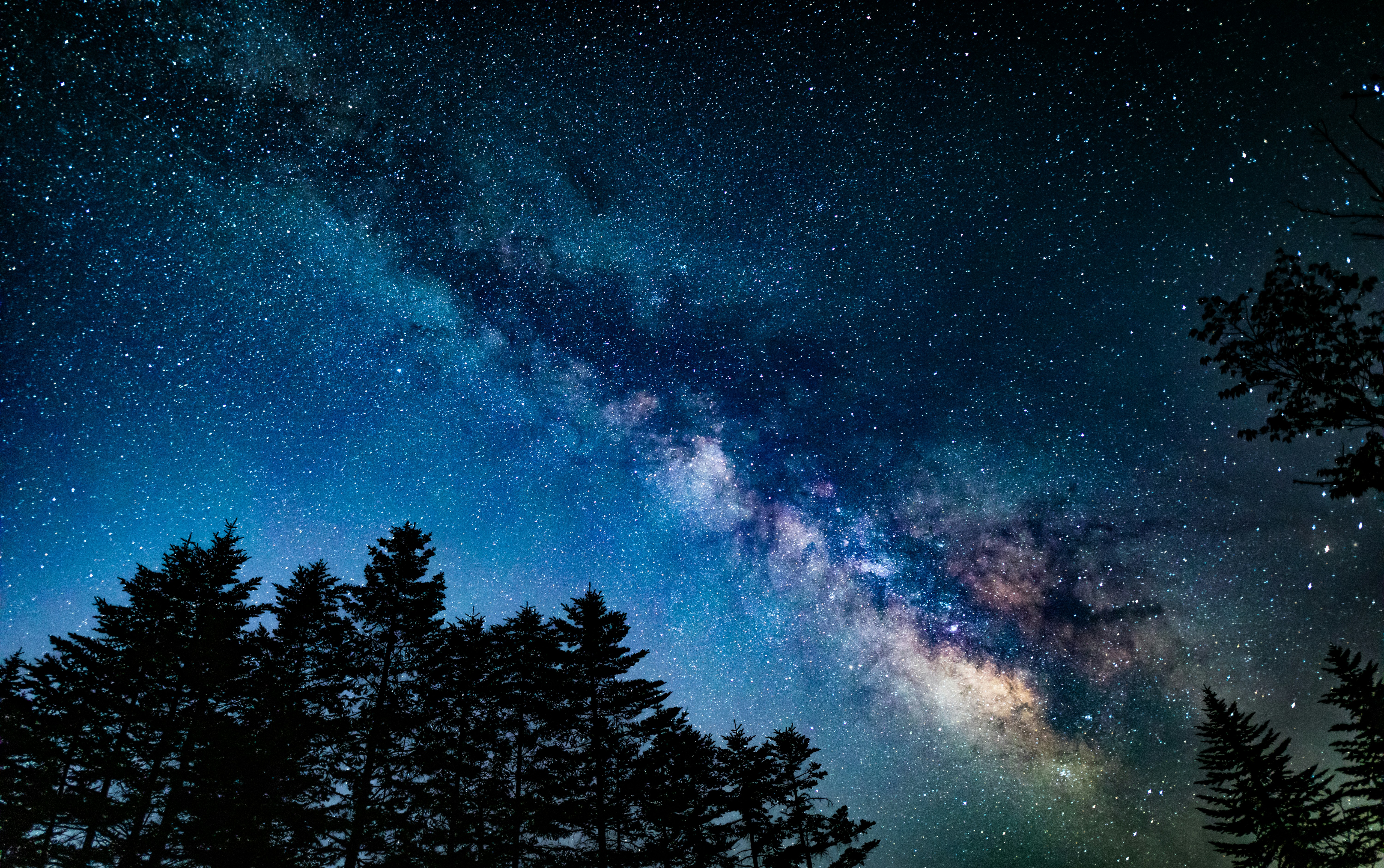 A starry night sky over trees photo – Free Blue Image on Unsplash