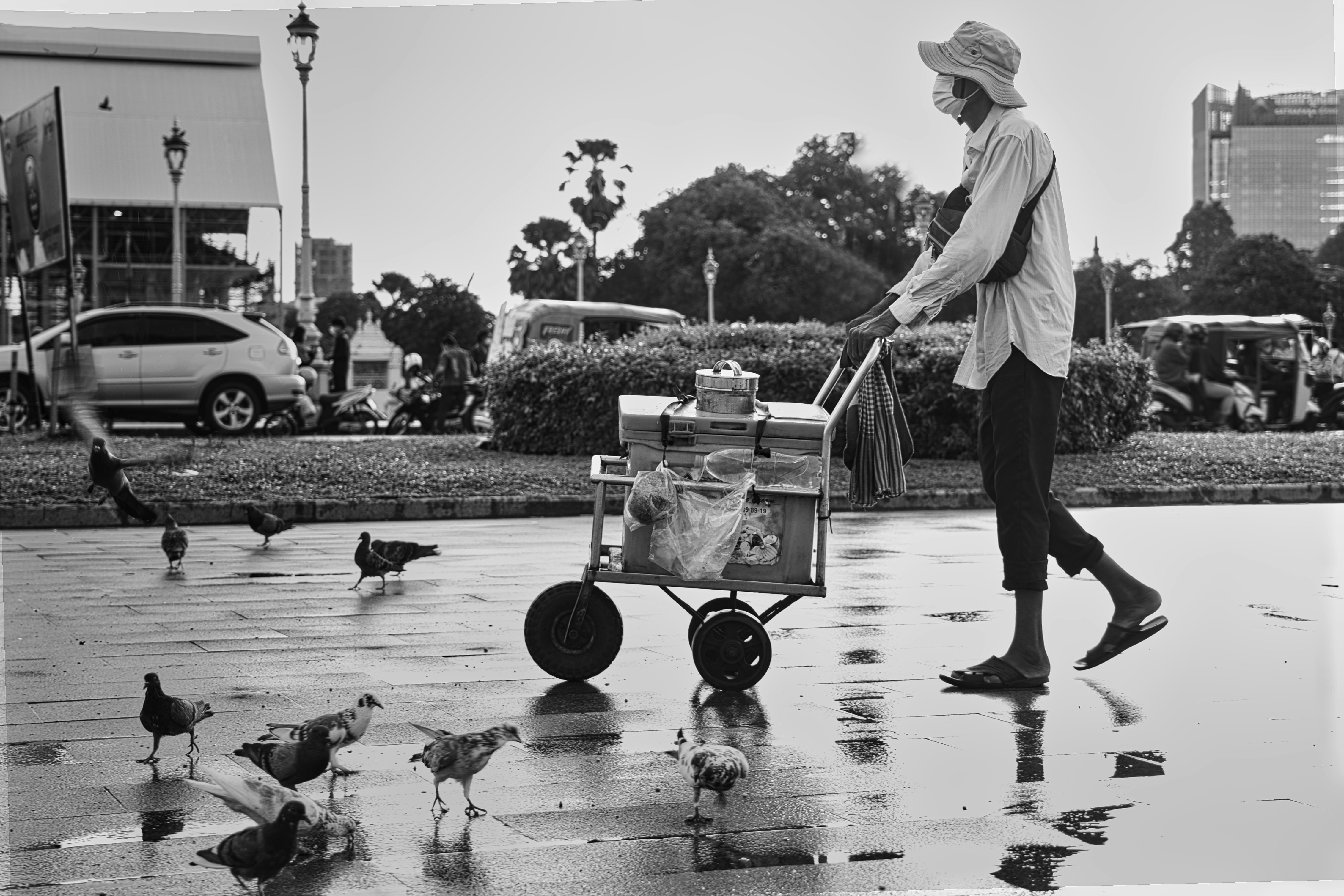 Street Vendor in Motion: A Wheelbarrow Push Across a Wet Plaza