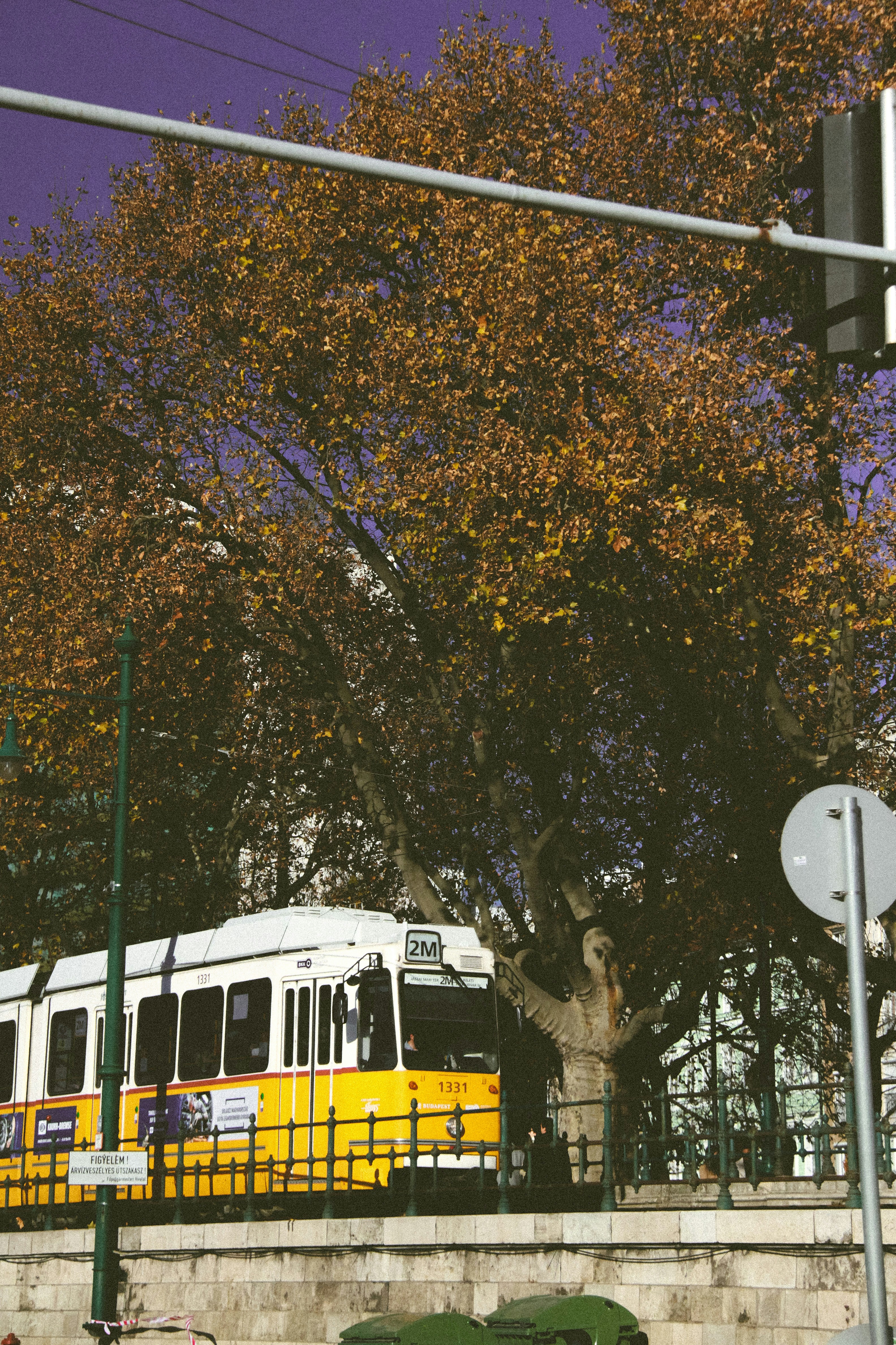 Amber Tram Under a Violet Hour: Autumn Canopy Loops Along a City Street