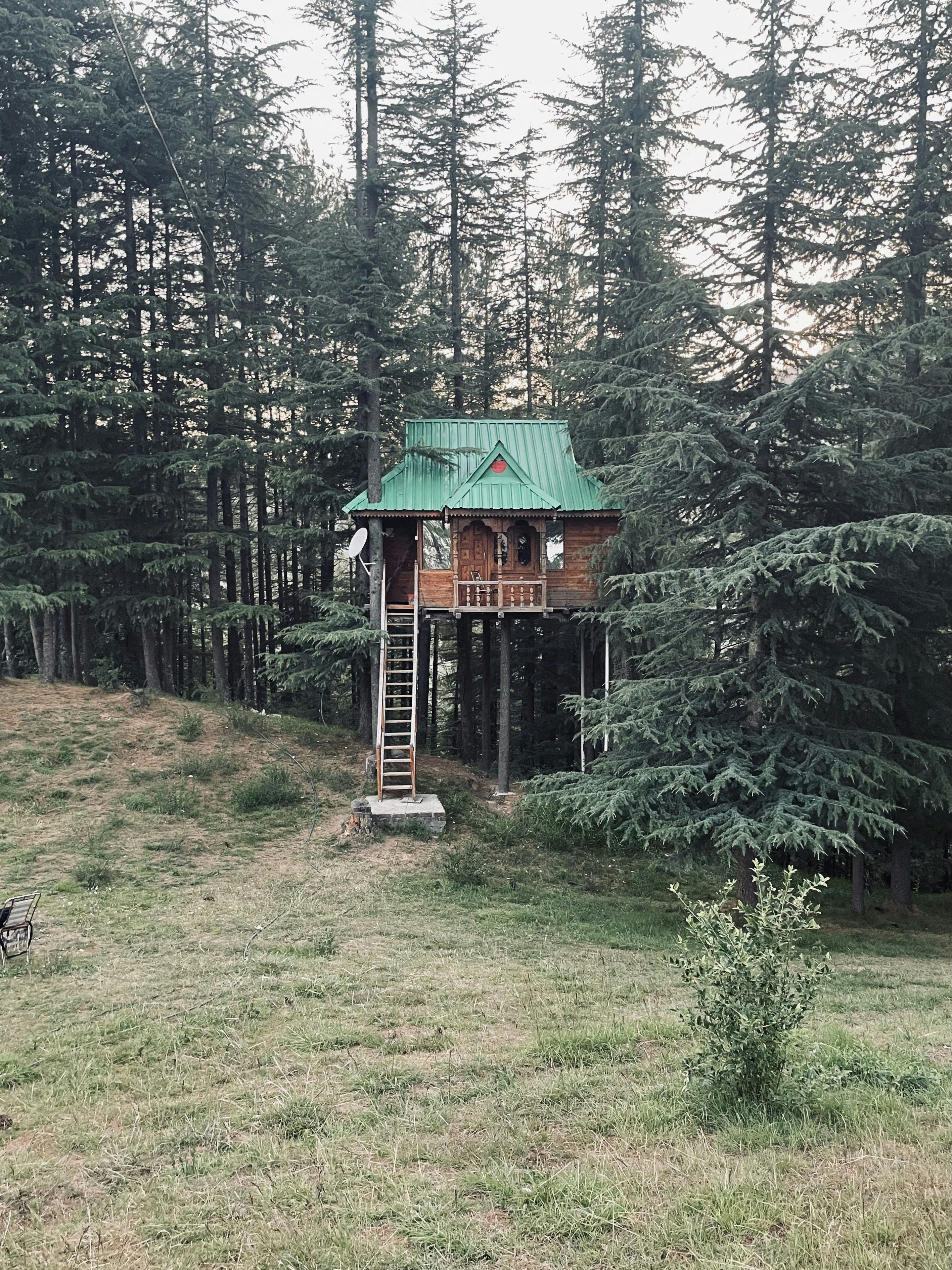 House In The Woods