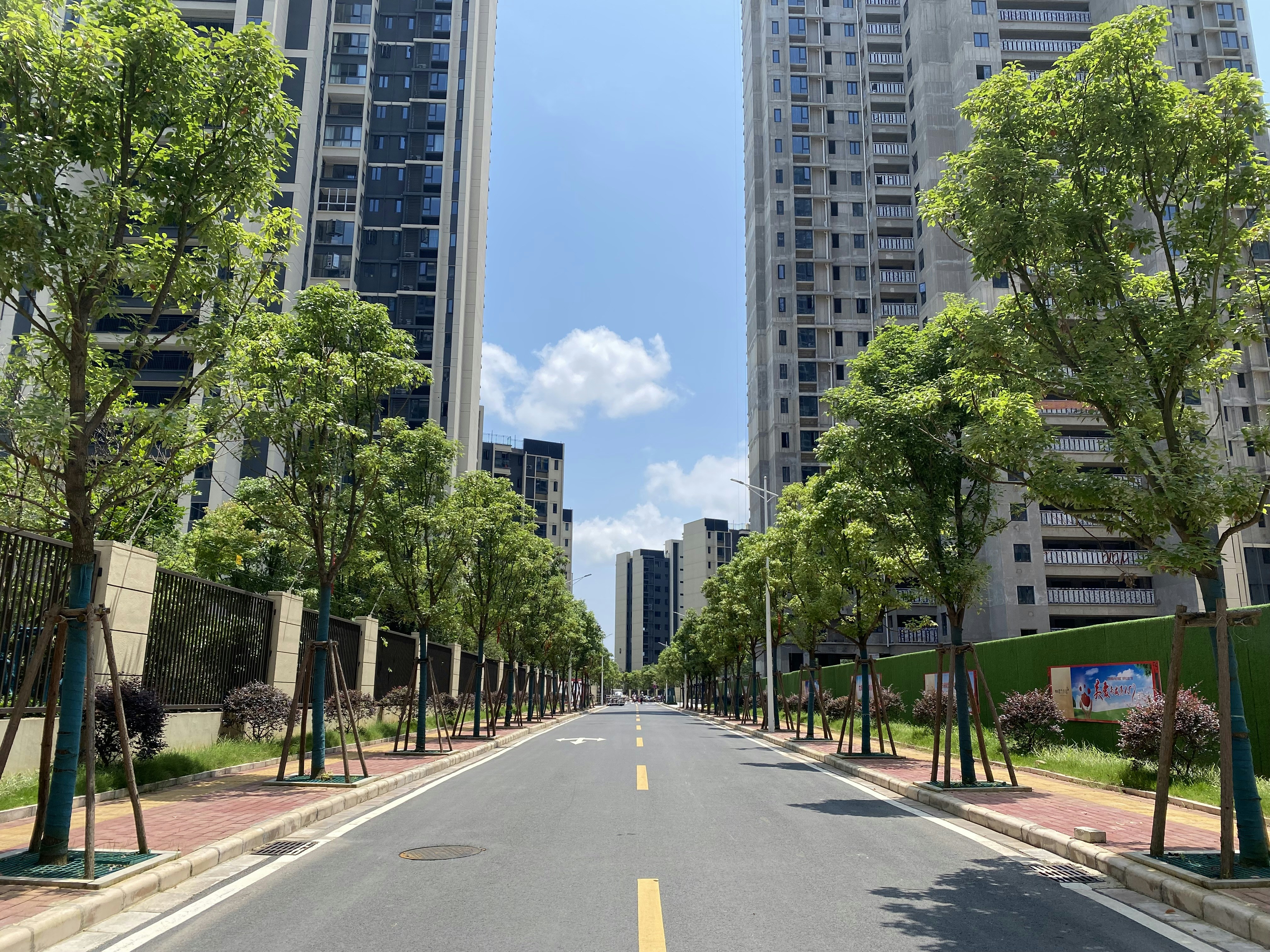 Tree-lined street flanked by modern high-rise buildings under a clear blue sky. The scene conveys a blend of nature and urban living.