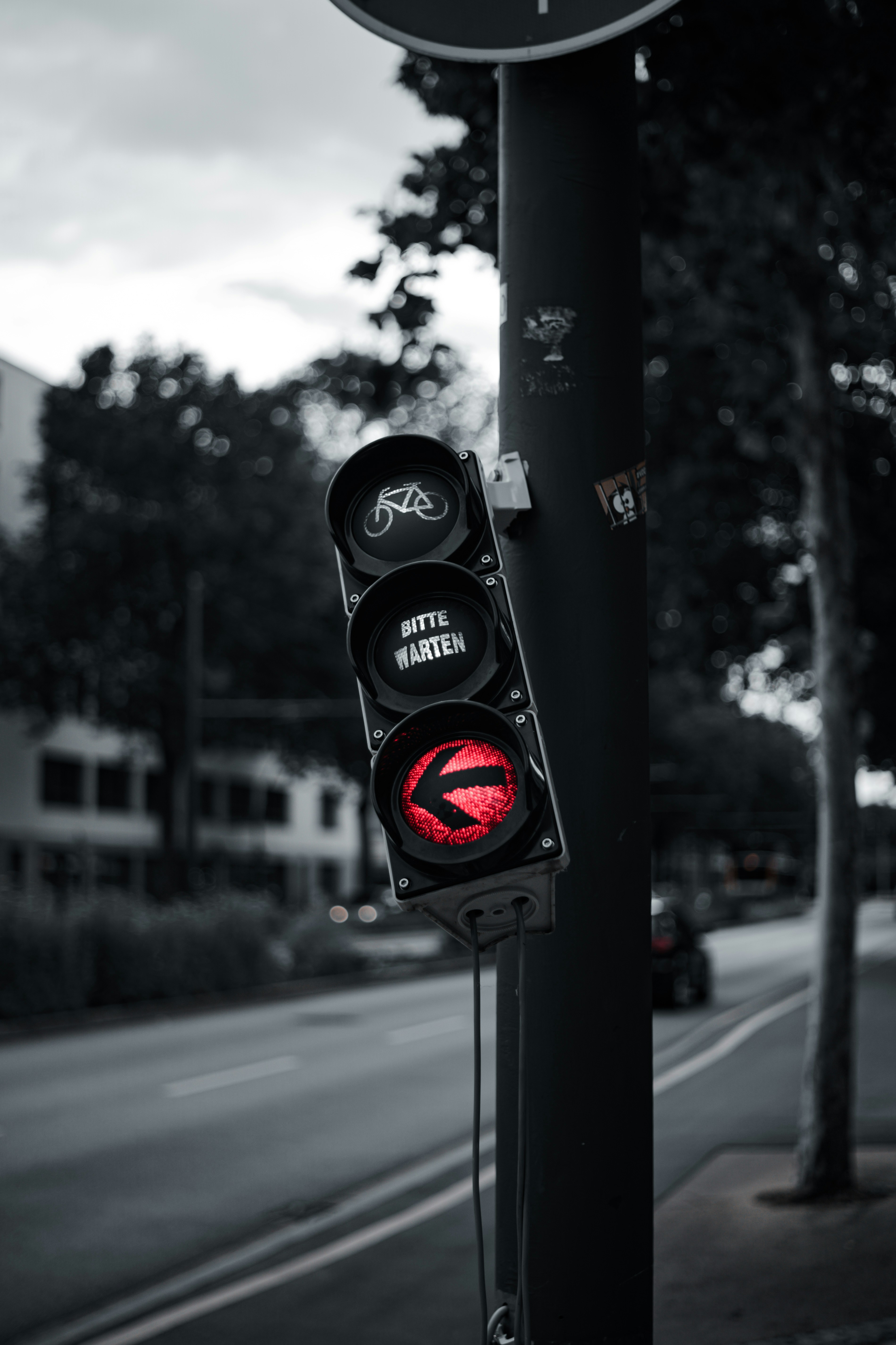 Red Arrow on a Steel Post: A Bicycle Signal Framed by Urban Dusk