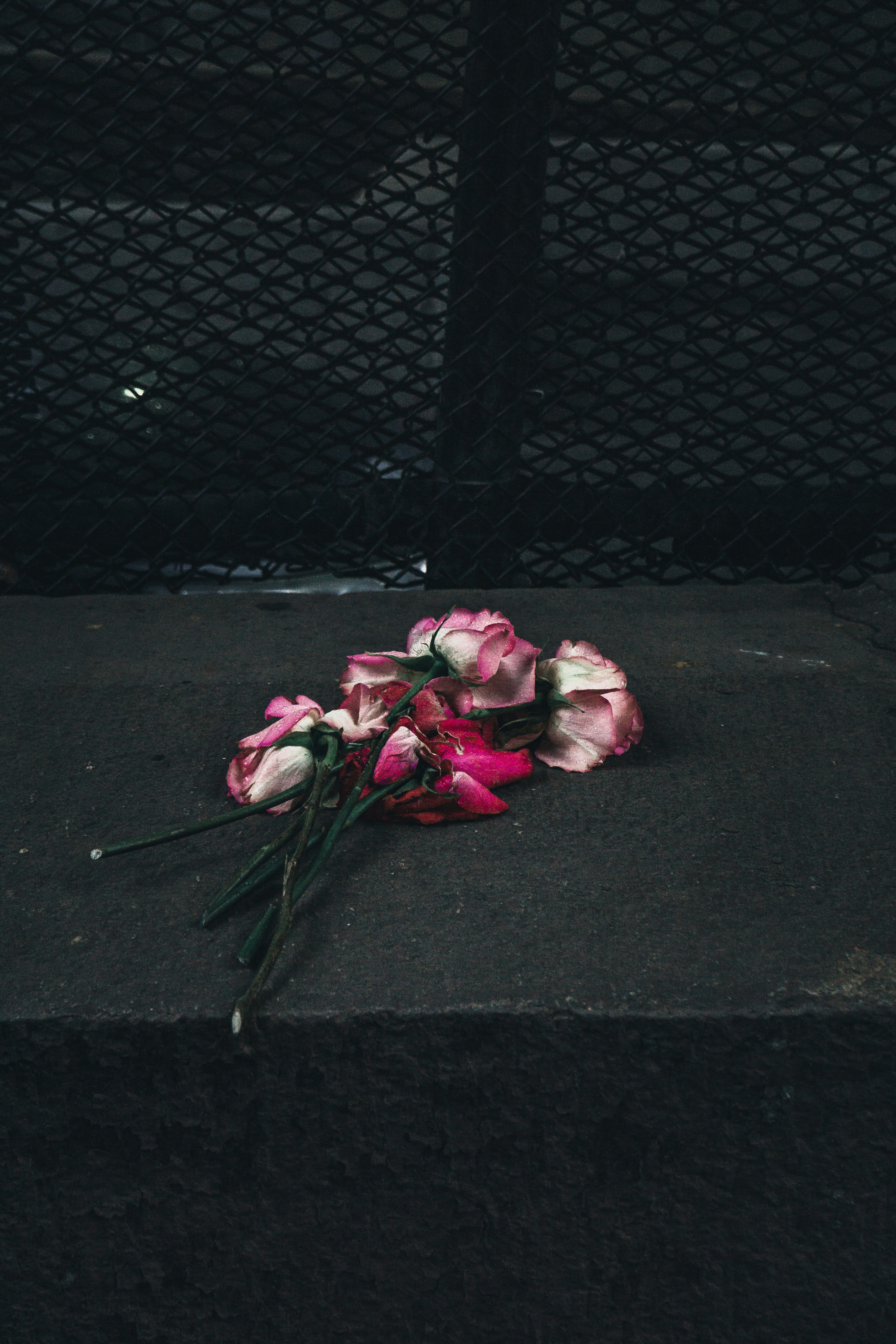 a bouquet of flowers
