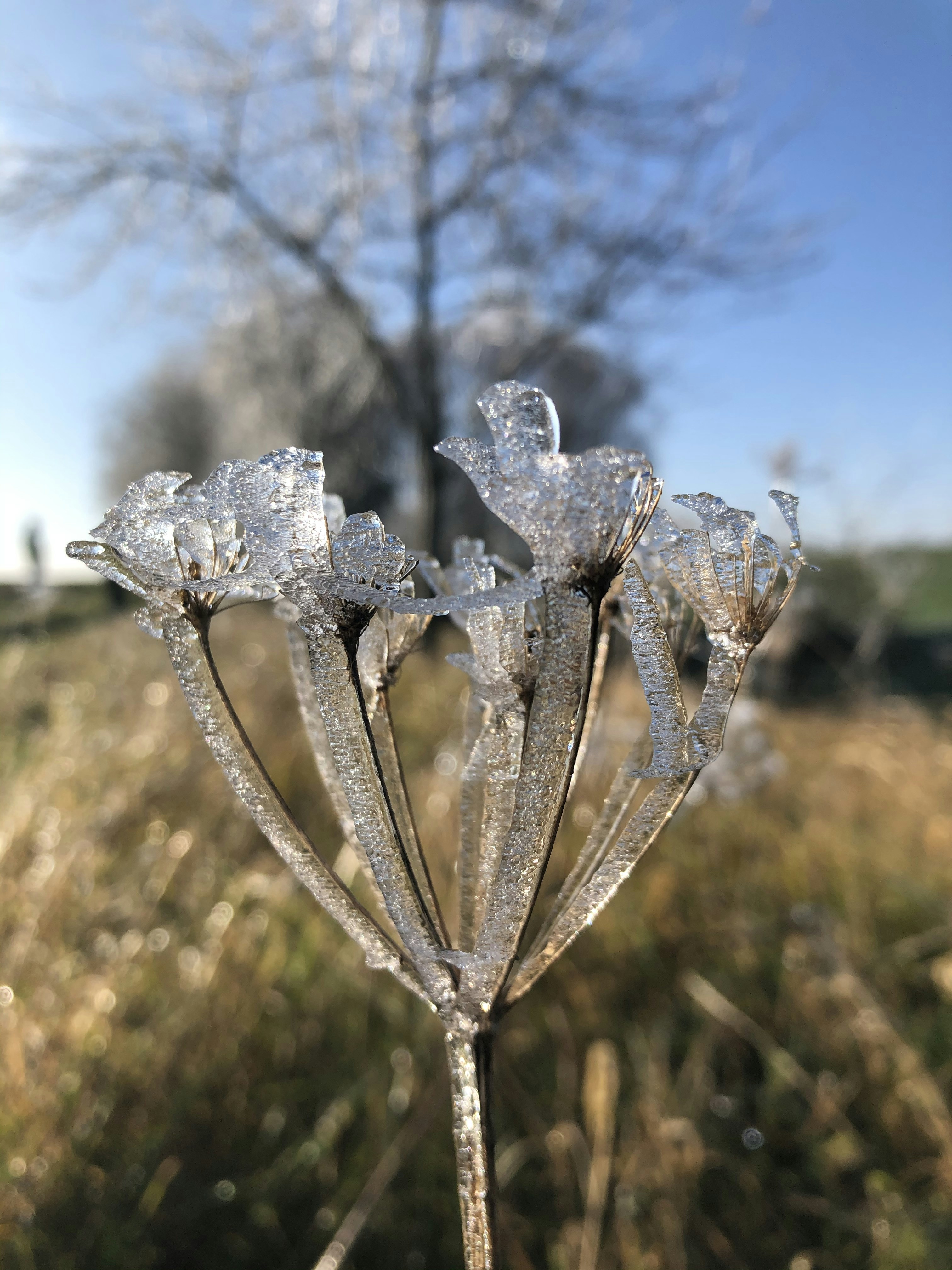 Photo by Ulrich Knoll with Apple iPhone 8