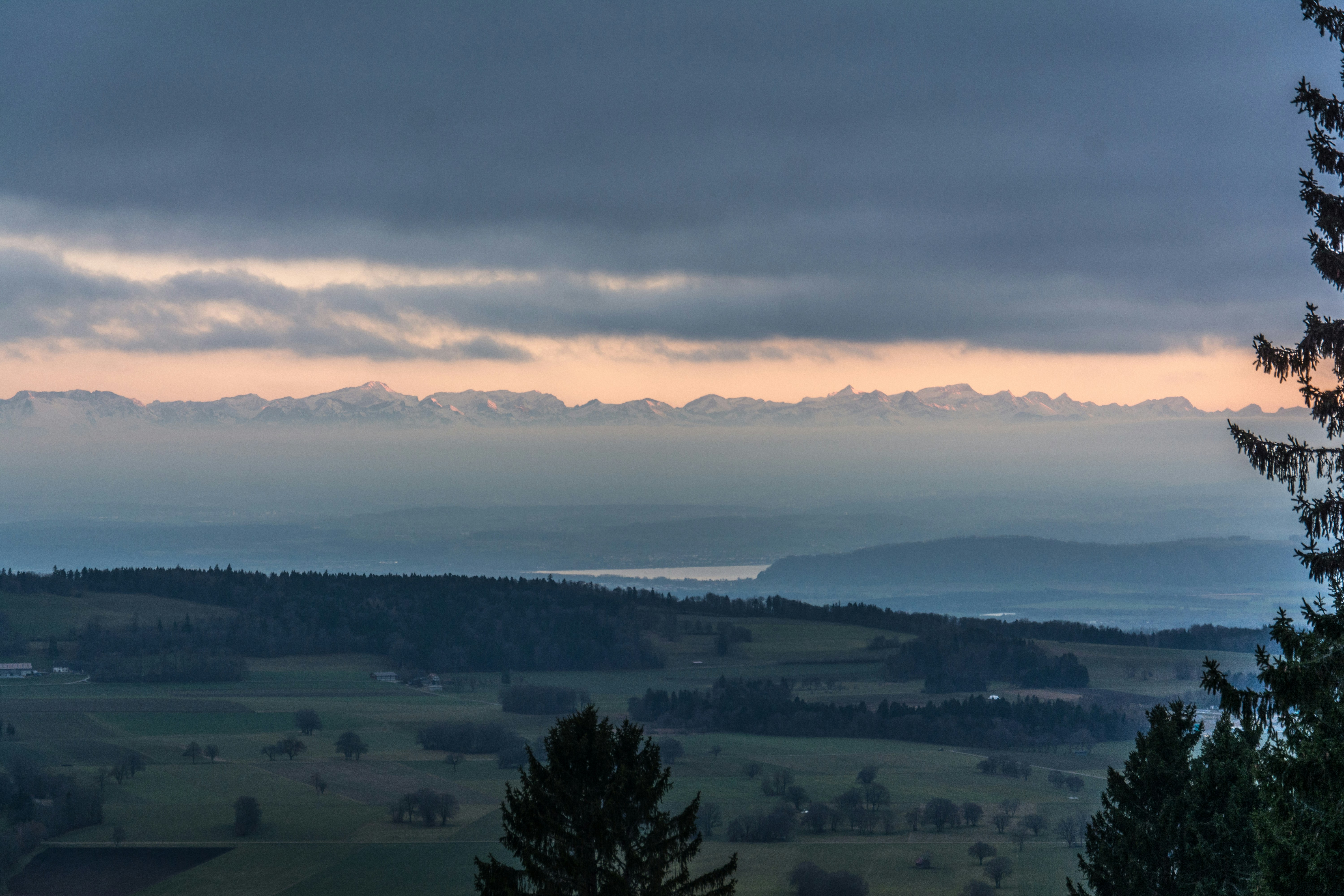 Foto Un paisaje con árboles y un cuerpo de agua en la distancia ...
