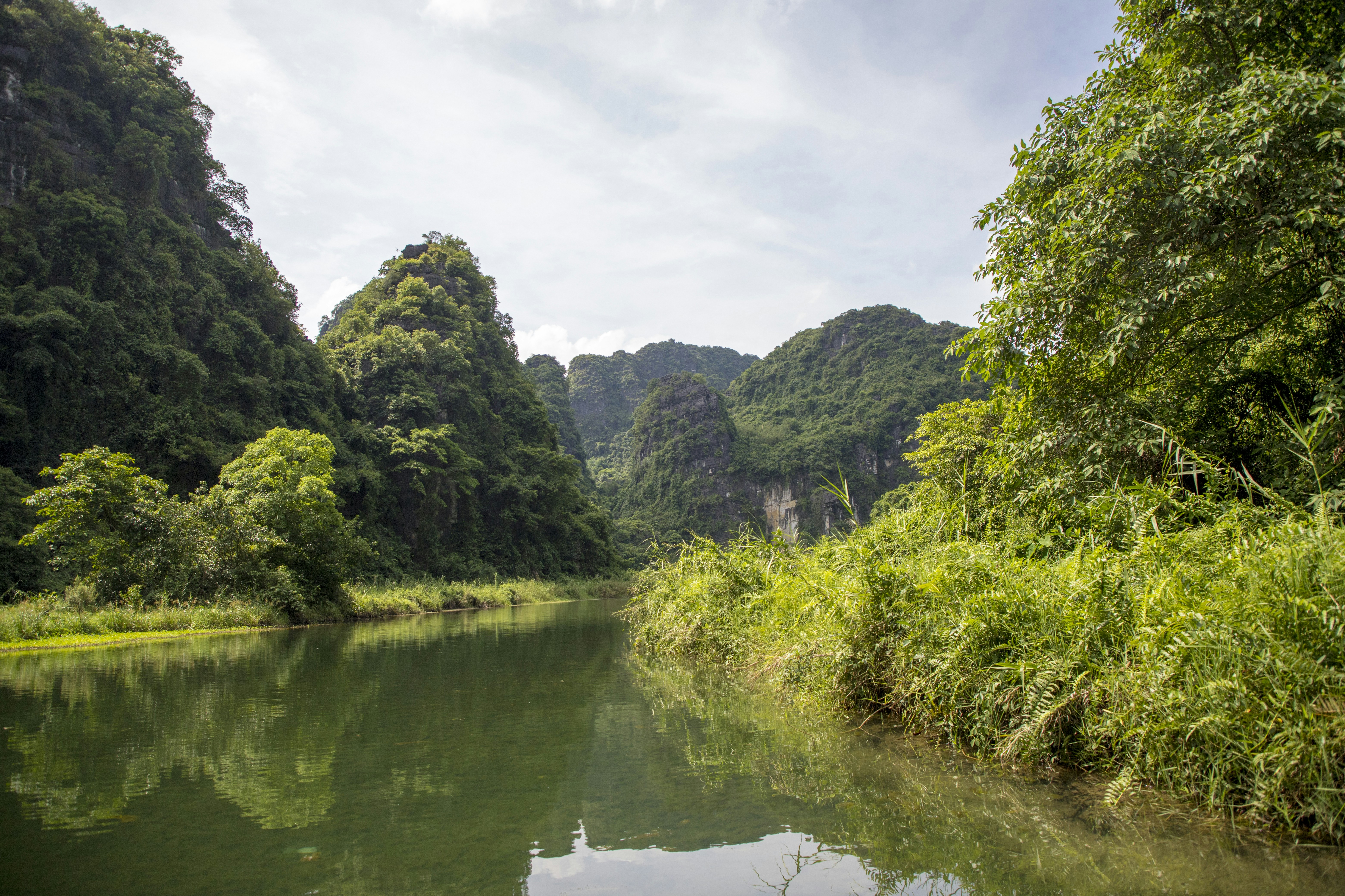 Lush green hills rise dramatically from a tranquil river, reflecting the vibrant foliage under a soft sky. The scene encapsulates the harmony of natural beauty.