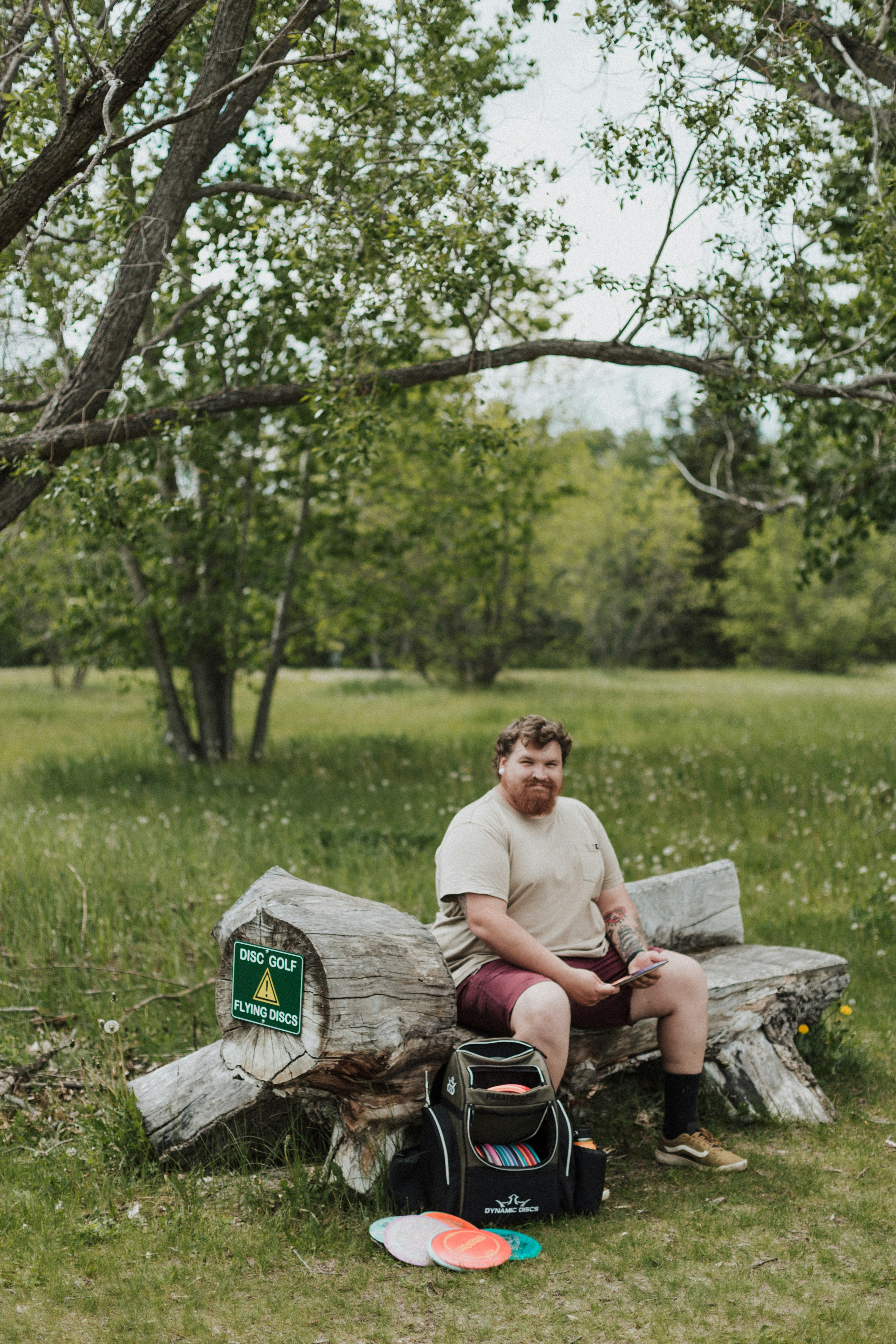 Disc Golf Break by the Weathered Log: Gear Ready in a Quiet Meadow