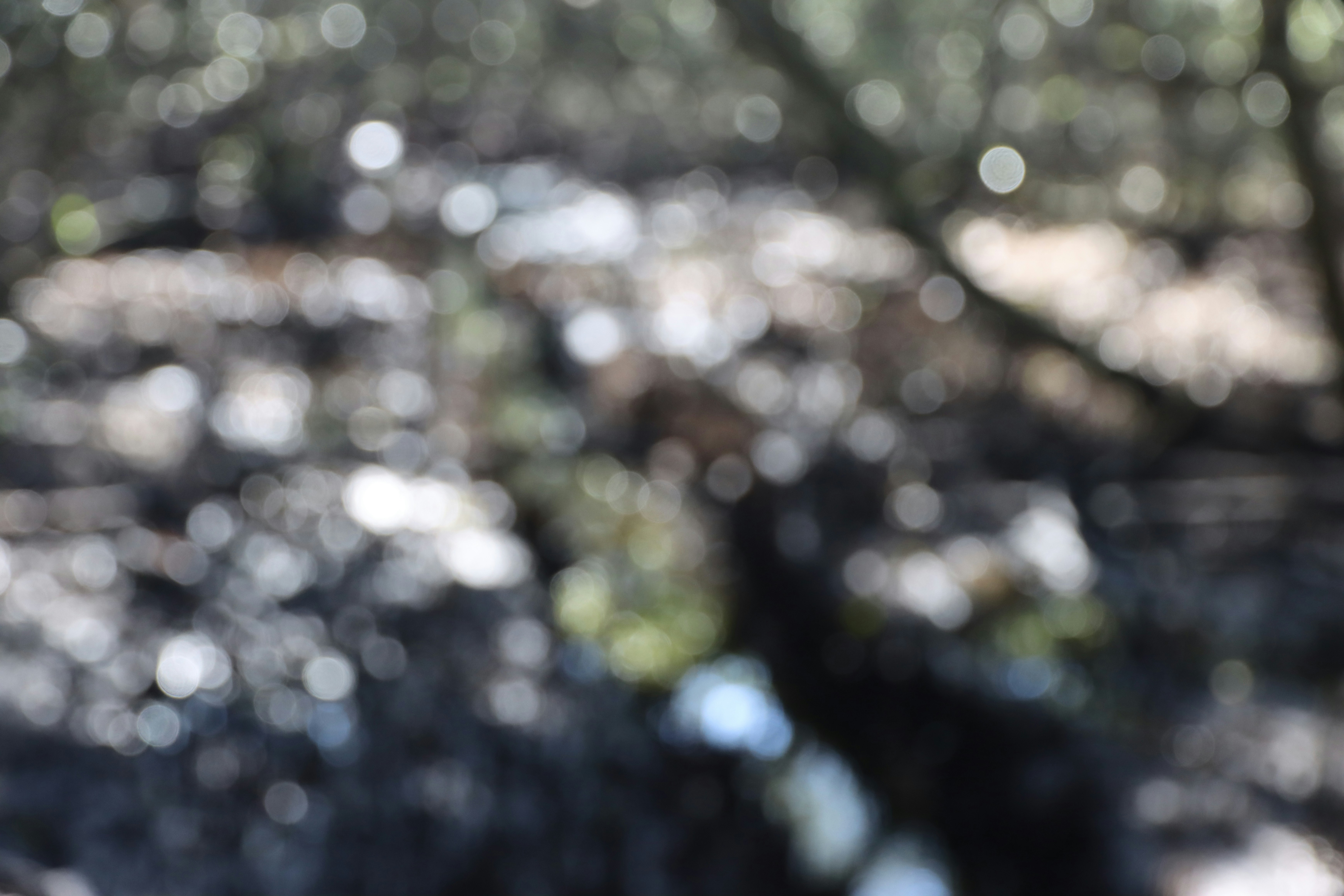 Creeklight in Bokeh: Sun-Dappled Ripples Through the Forest
