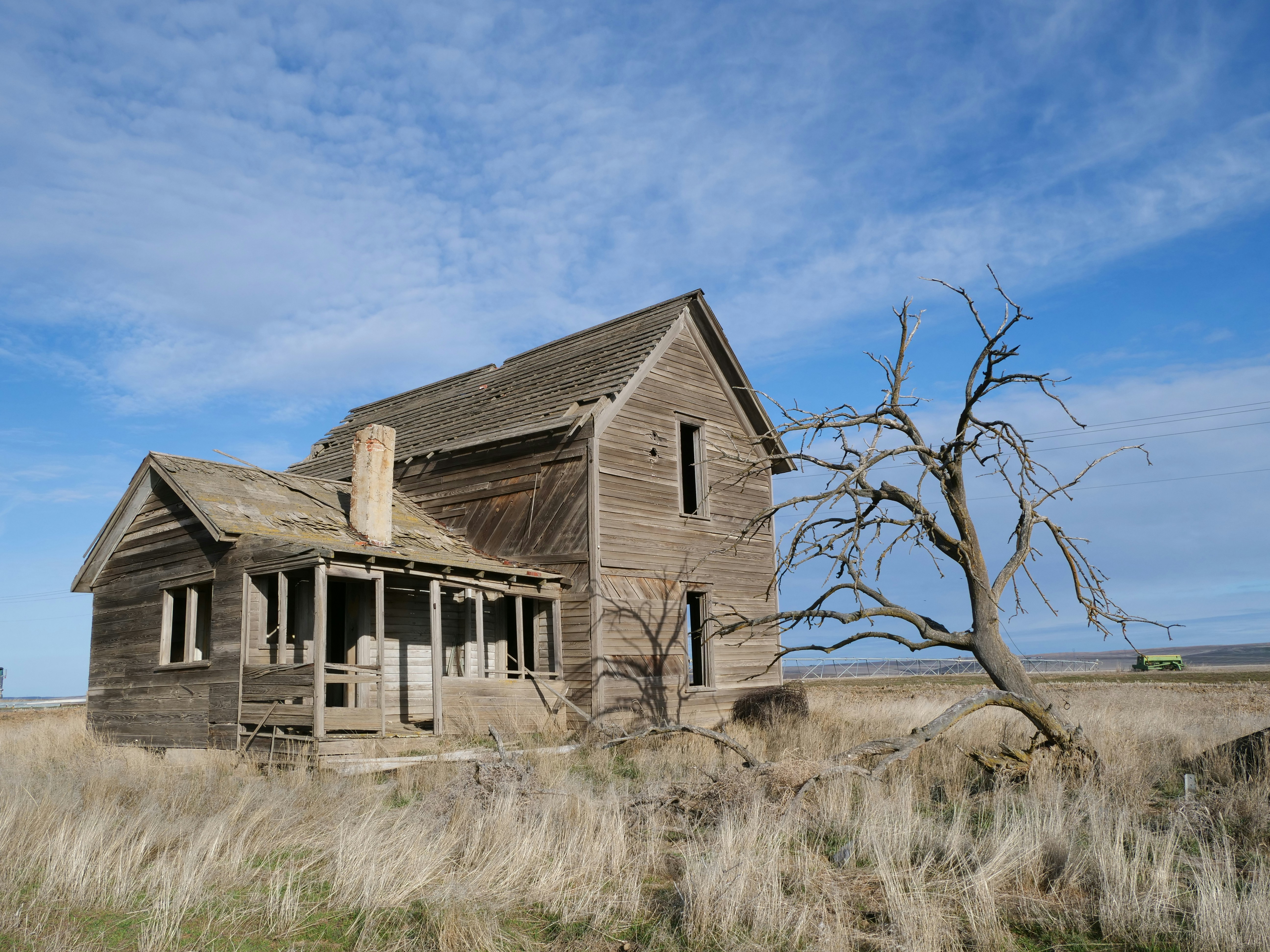 Abandoned wooden house with a dilapidated porch and a bare tree in a grassy field under a blue sky.