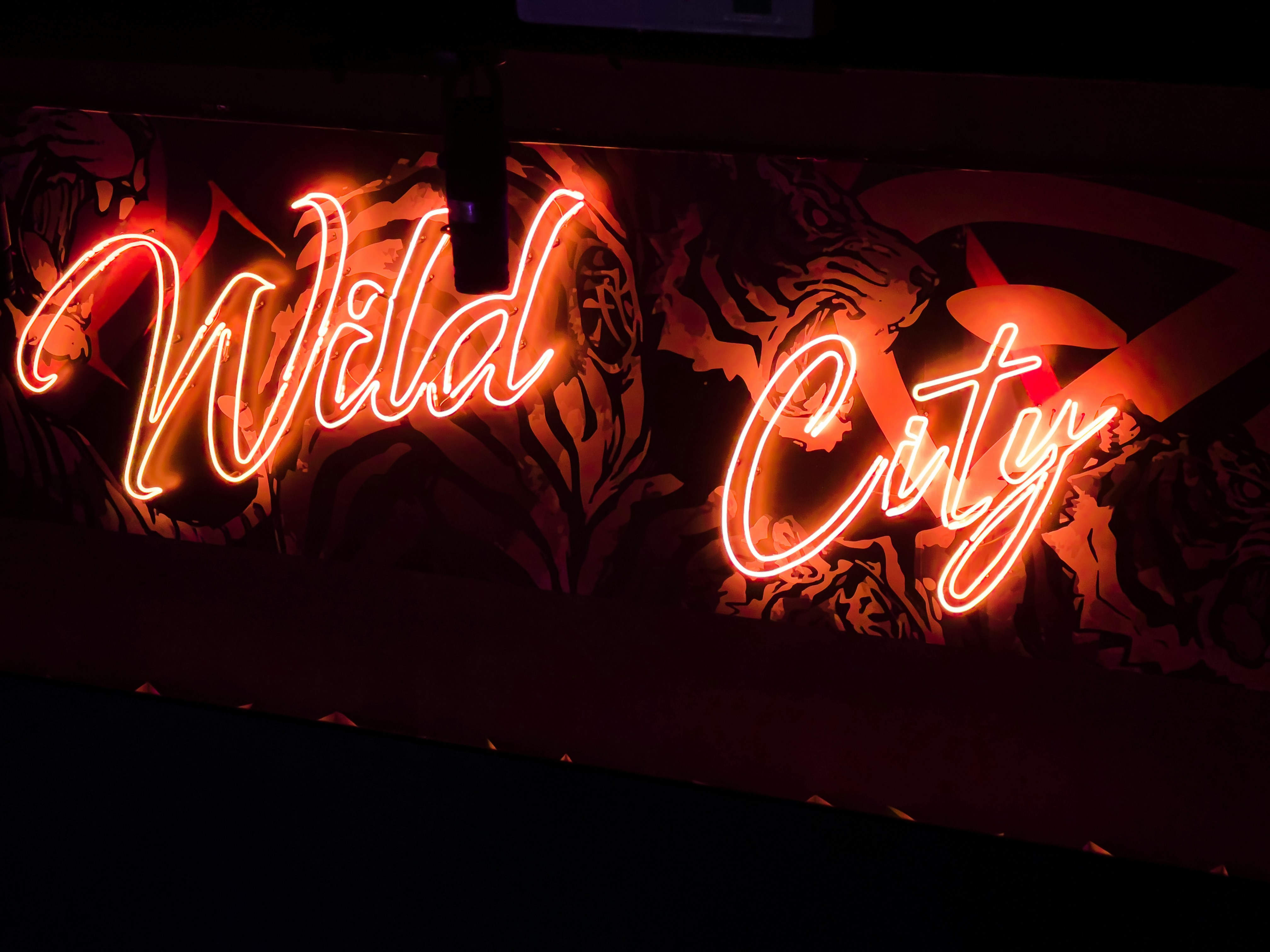 Neon Script Across a Velvet Wall: Wild City in Red Glare