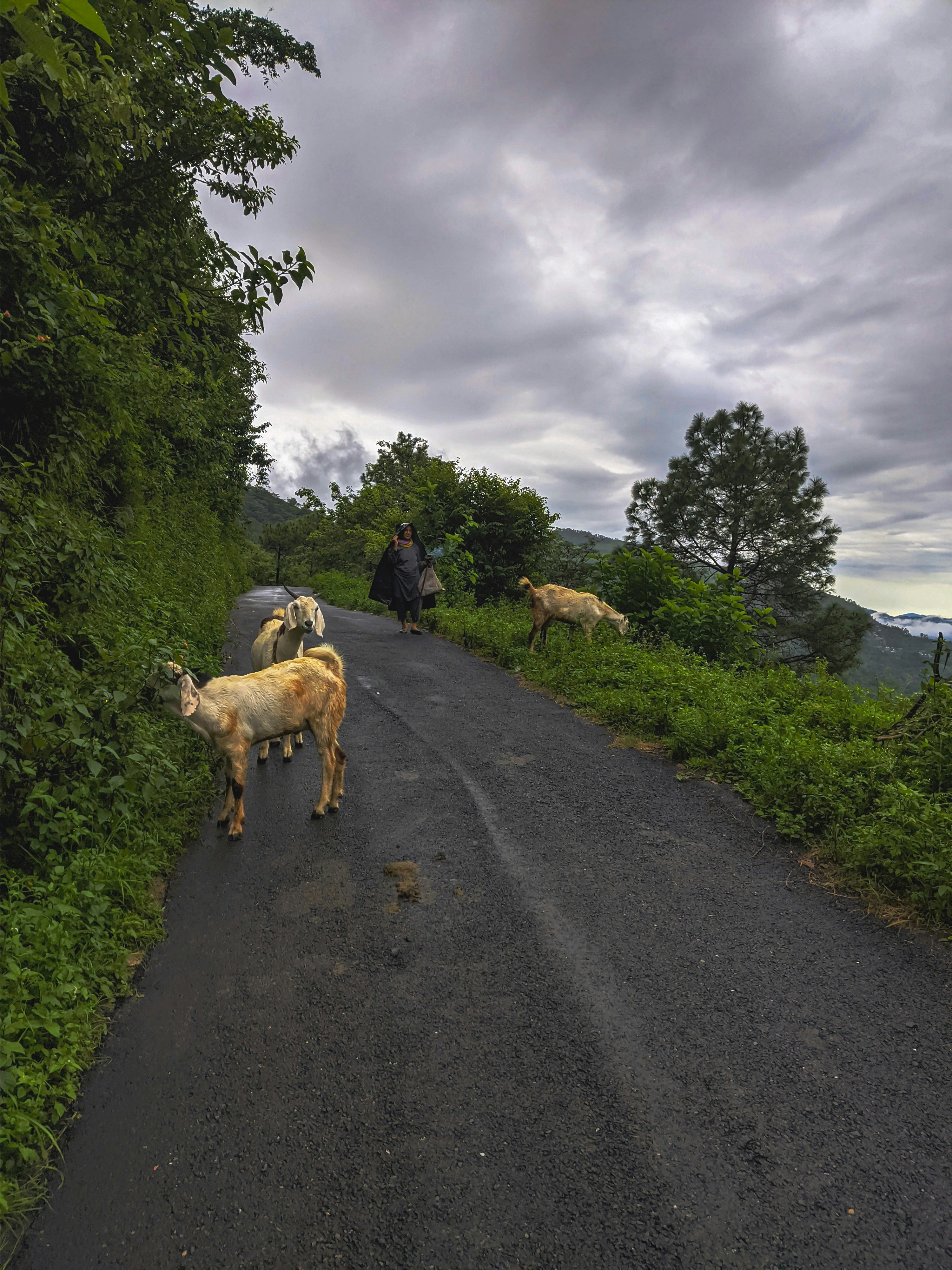 Lalit Kumar (@klalit) | Comunidade de fotos da Unsplash