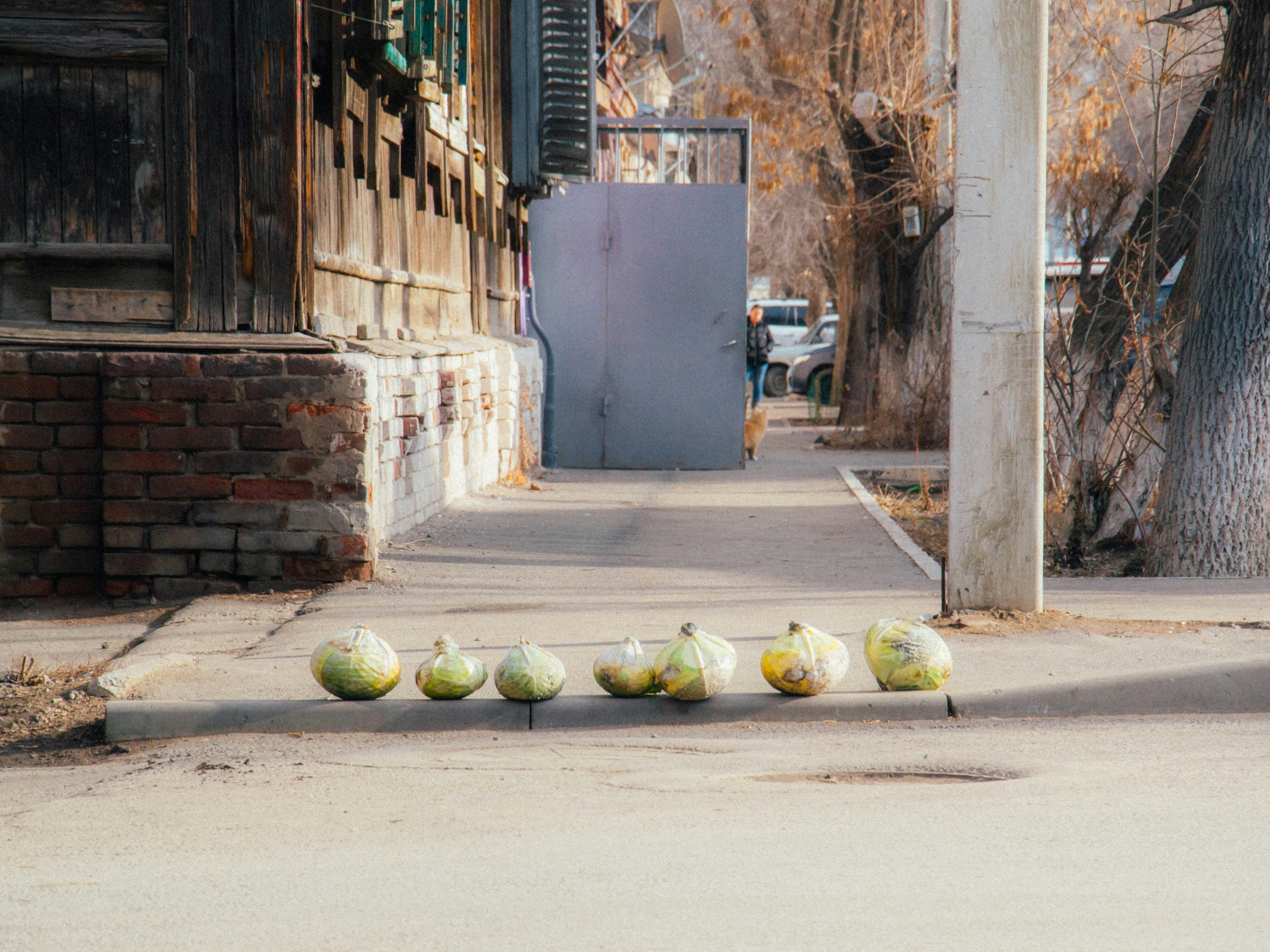 A row of colorful vegetables lined up on a sidewalk, contrasting with the rustic backdrop of a wooden building. The scene captures a slice of everyday life in a quaint setting.