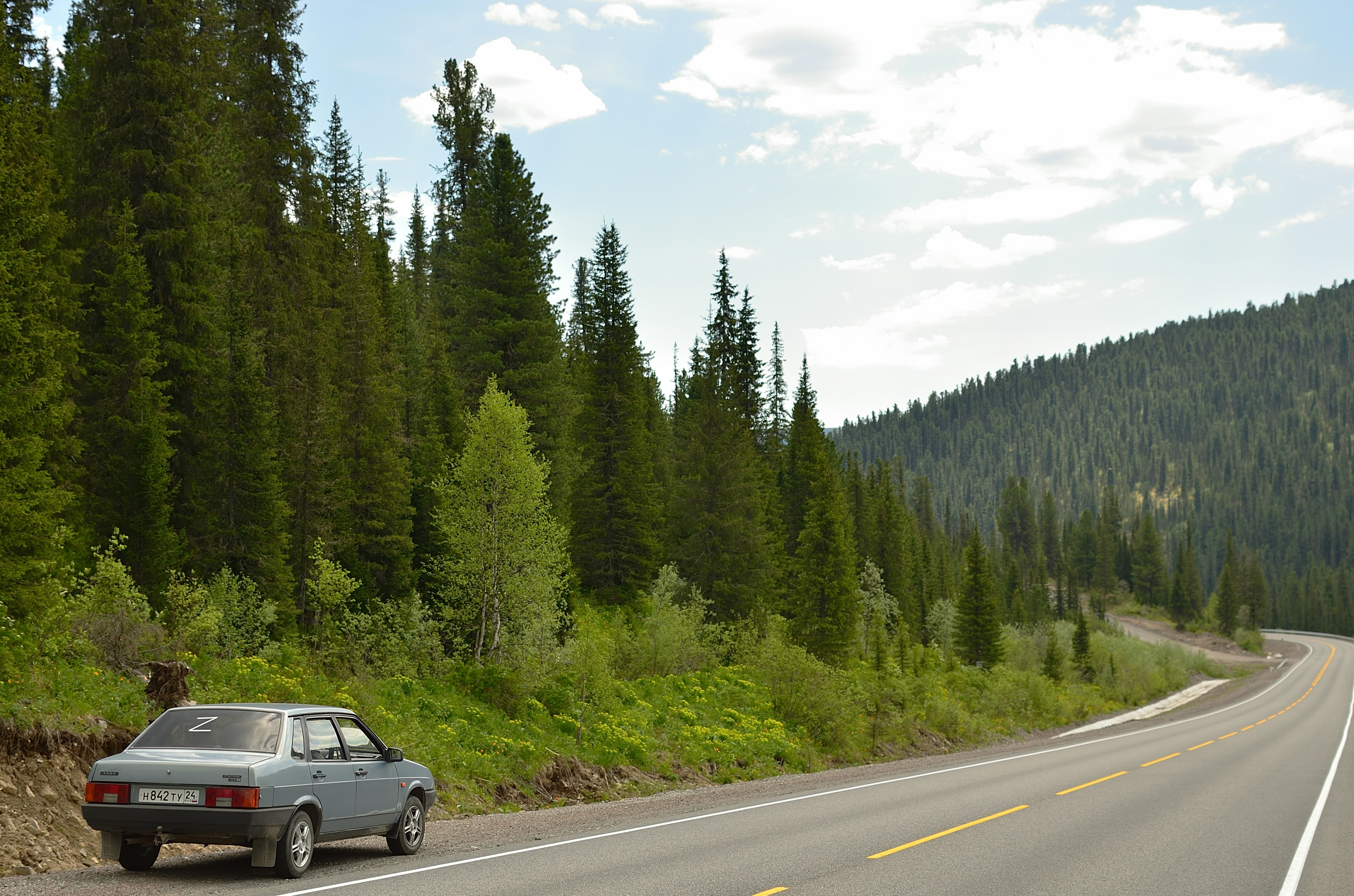 a car driving on a road with trees on the side