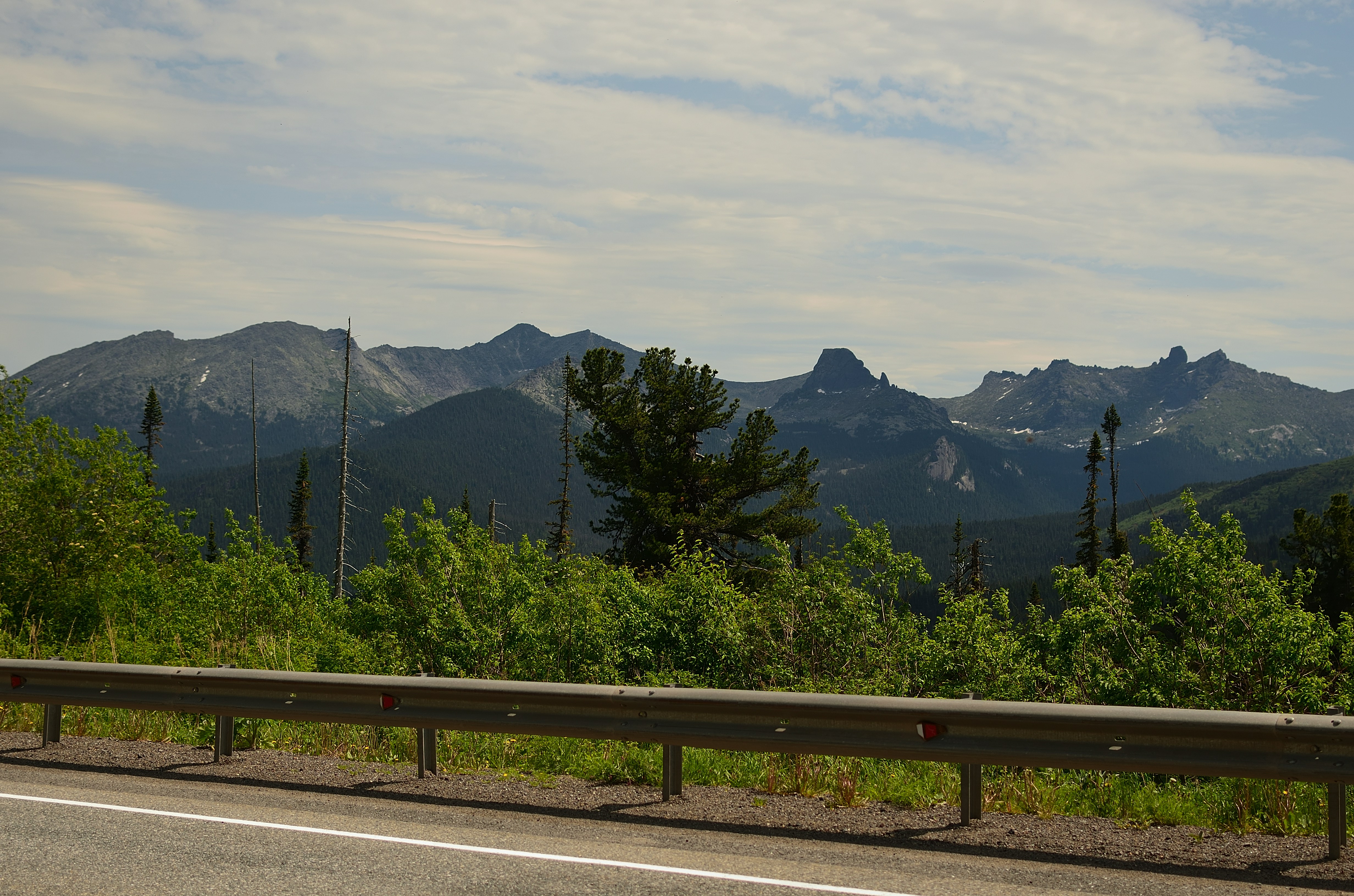 Guardrail Horizon: Pines, Peaks, and a Quiet Alpine Vista