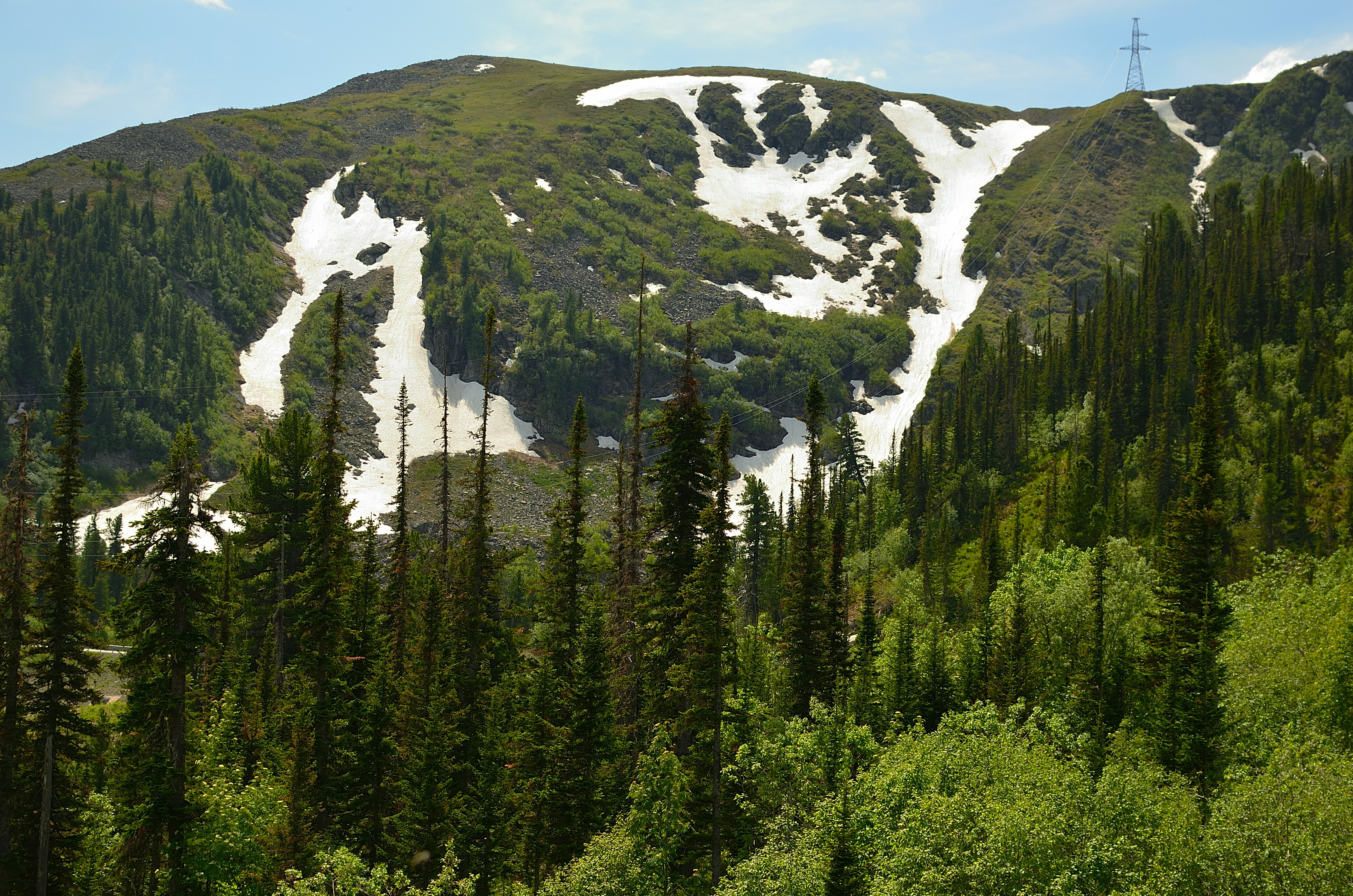 Lush green forests contrast with melting snow on mountainous terrain, hinting at the transition from winter to spring.