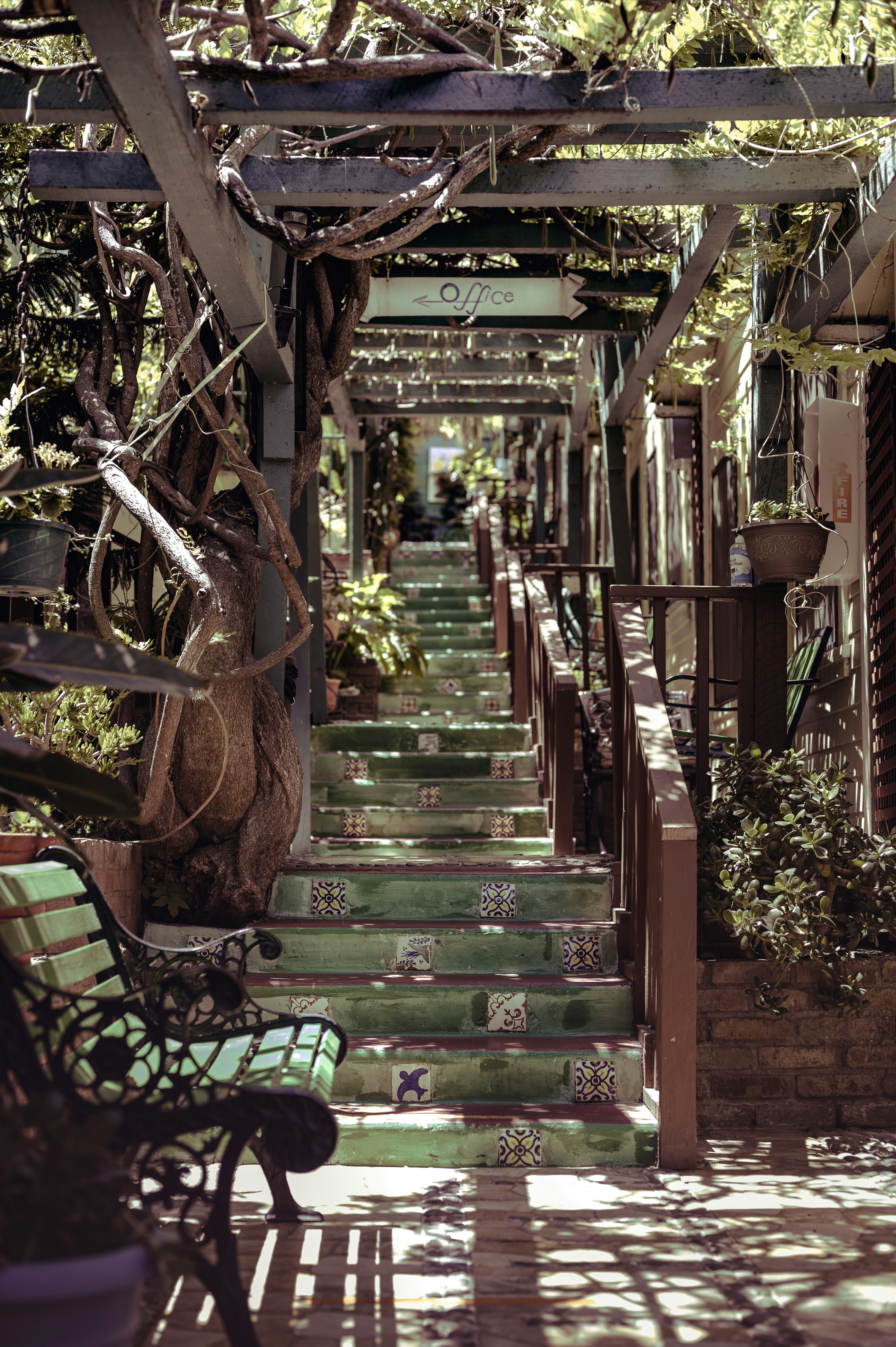 Ivy-Arched Ascent: The Green-Tiled Staircase into a Quiet Courtyard