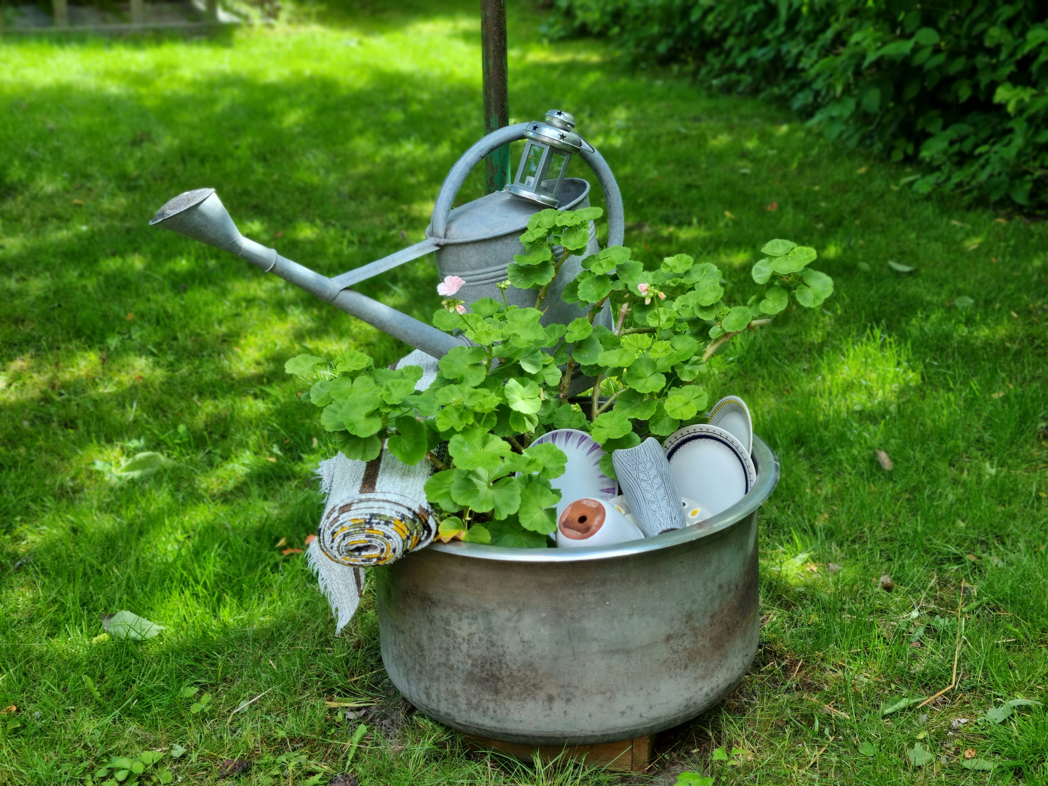 A vintage watering can and assorted garden tools are nestled among vibrant green plants in a rustic metal basin, showcasing a creative approach to garden decor.