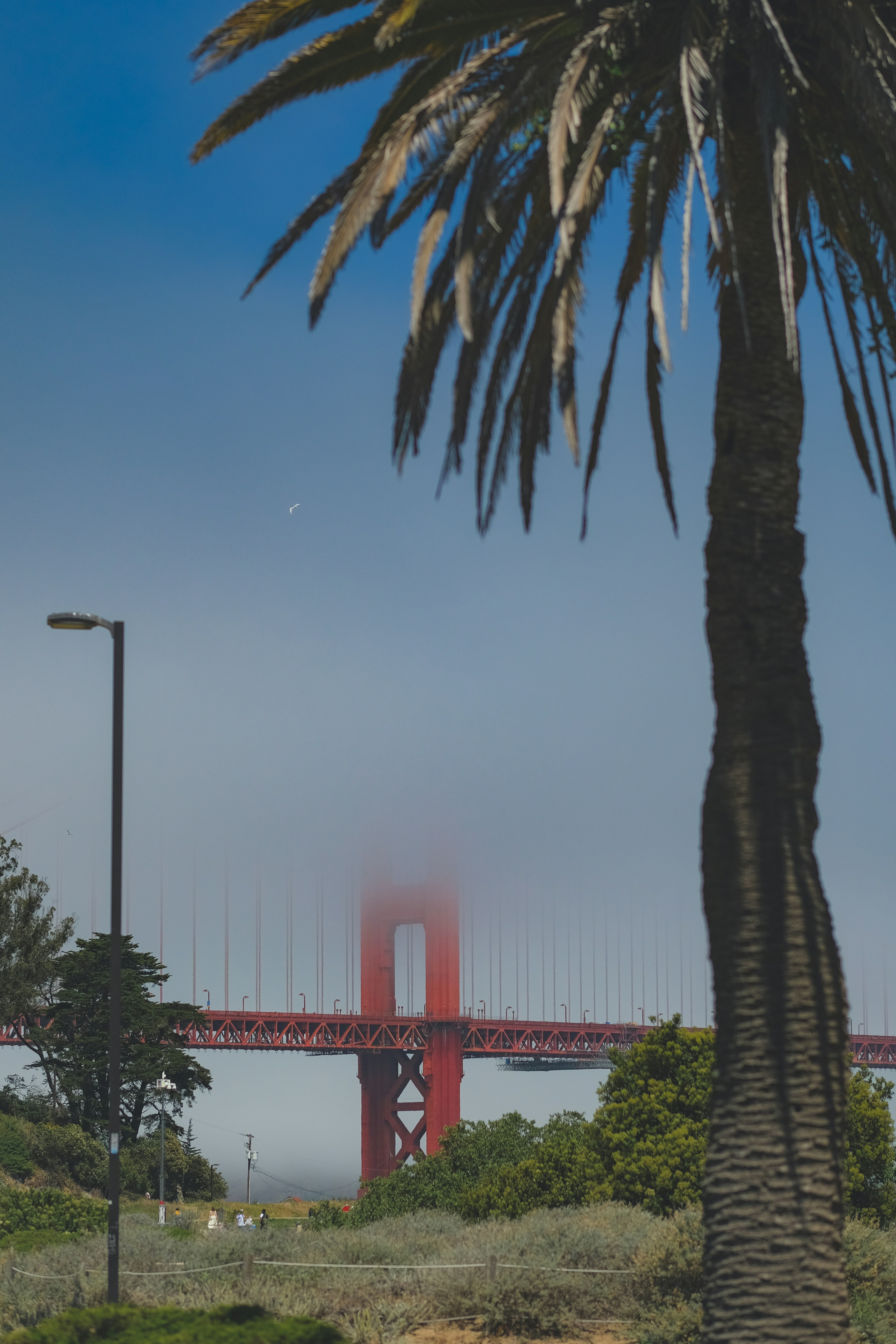 A large red bridge photo – Free San francisco Image on Unsplash