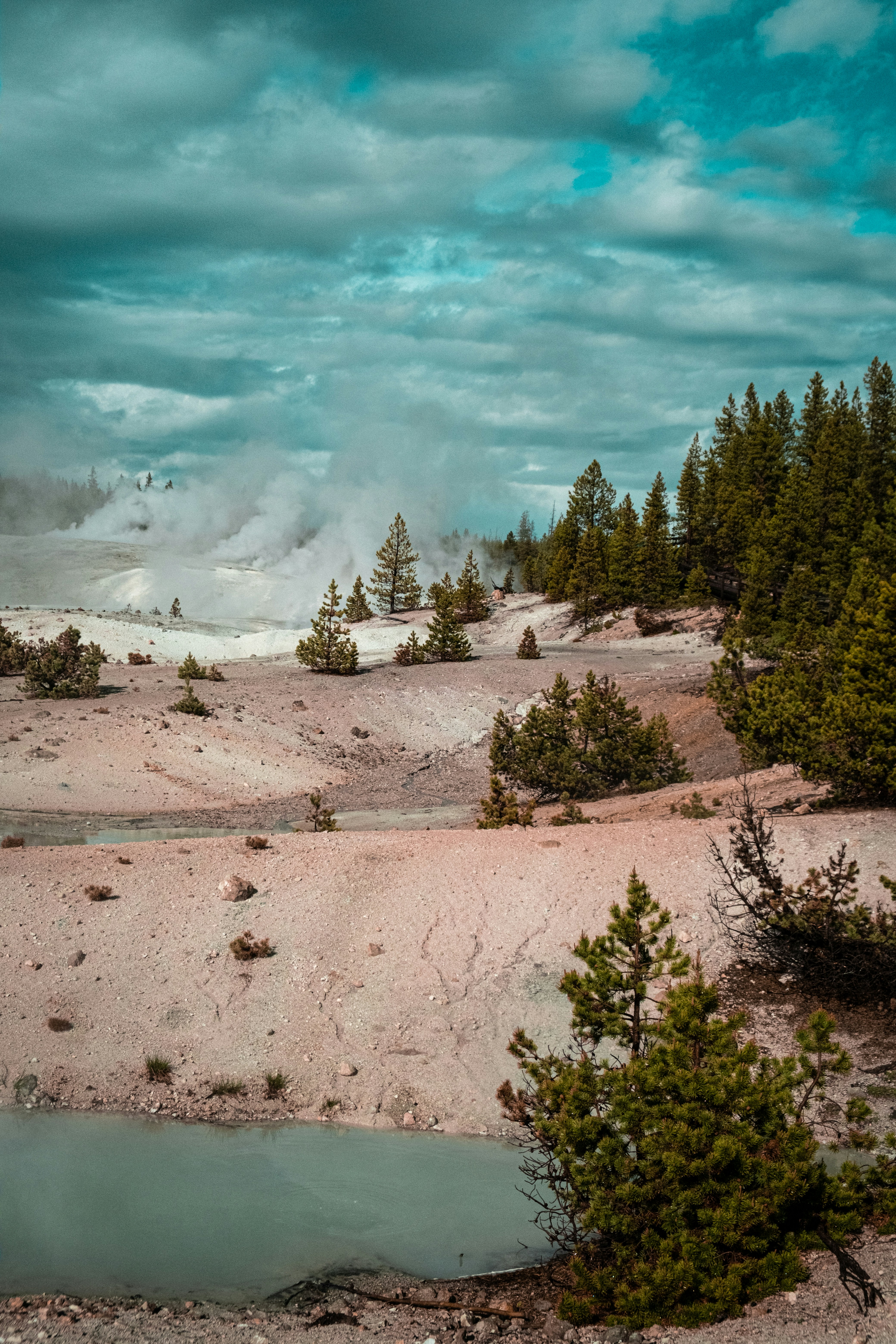 Steam rises from a geothermal area surrounded by lush green trees and a pale landscape. A small pond reflects the unique colors of the terrain.