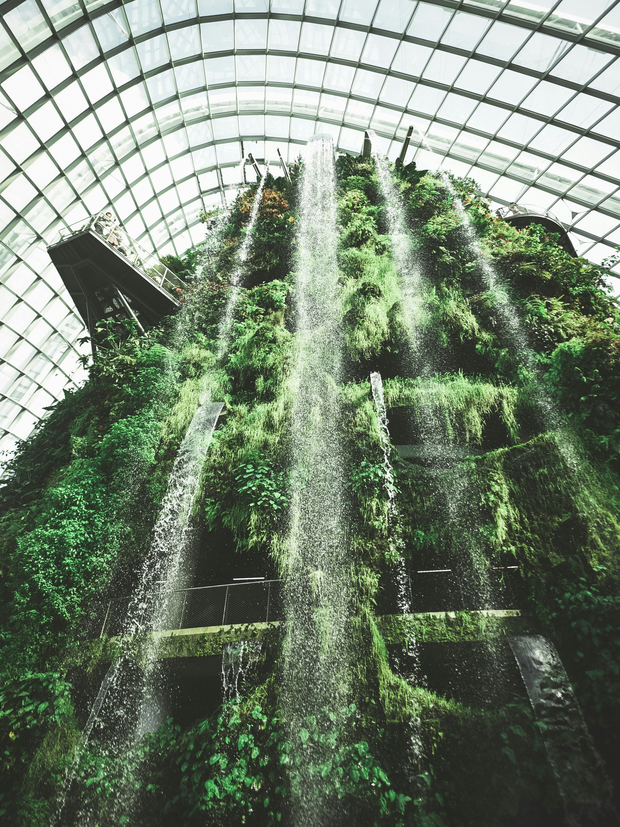 Vertical Oasis: A Glass Atrium Verdant Cascade