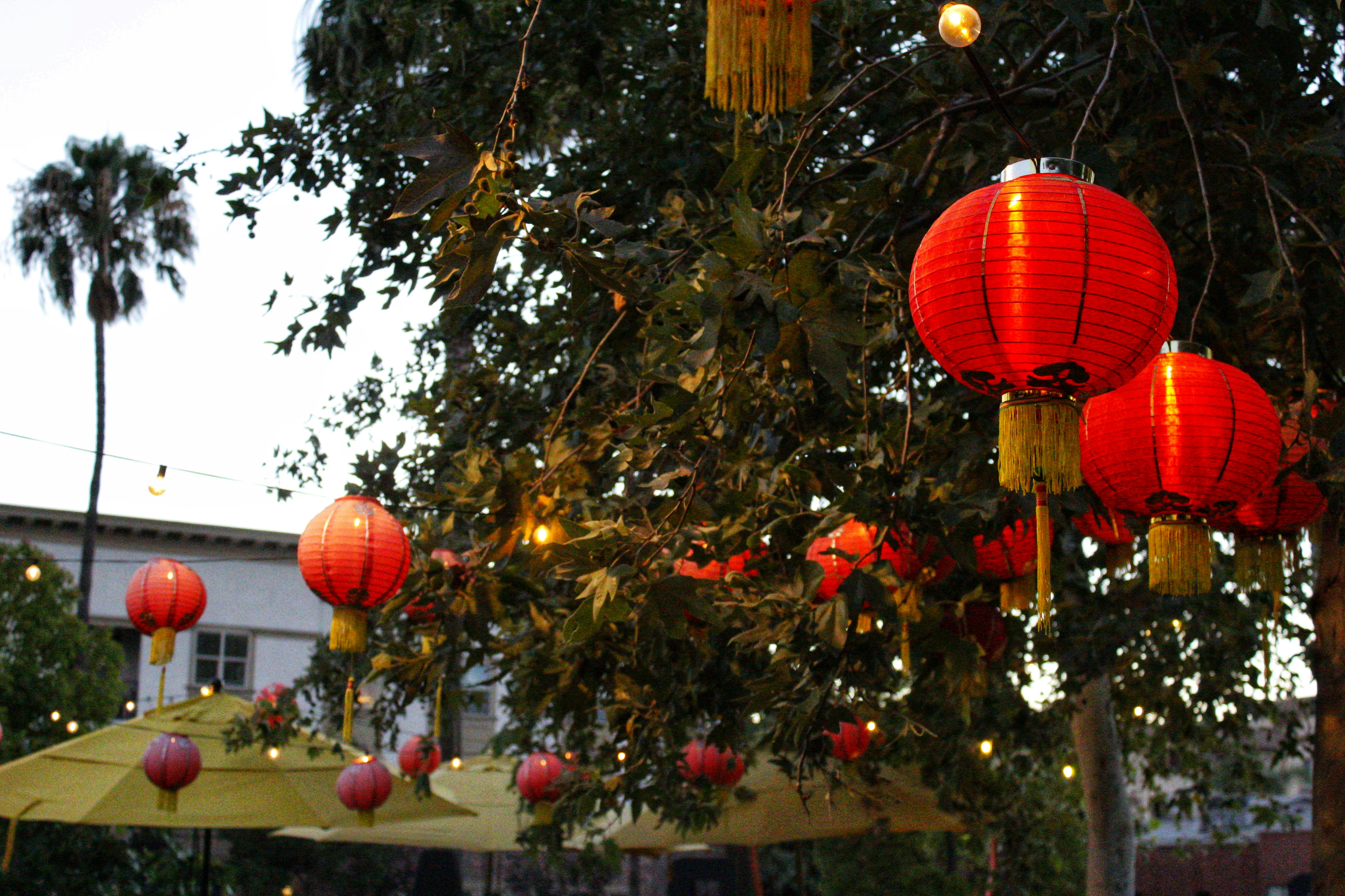 Vibrant red lanterns hang from lush greenery, casting a warm glow over a festive setting adorned with umbrellas and soft lighting.