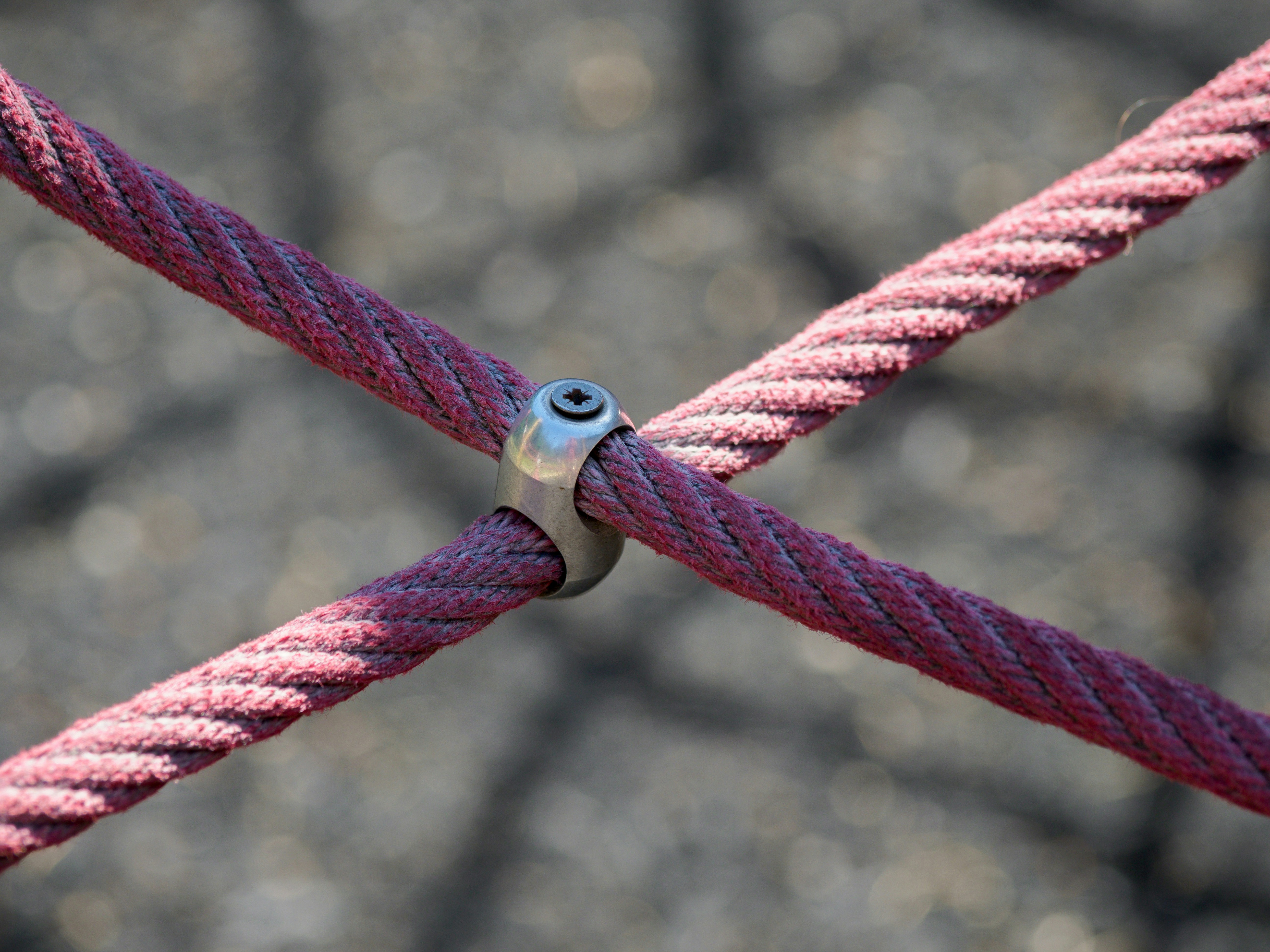 Close-up of intertwined ropes secured by a metal connector, showcasing the intricate details of strength and craftsmanship.