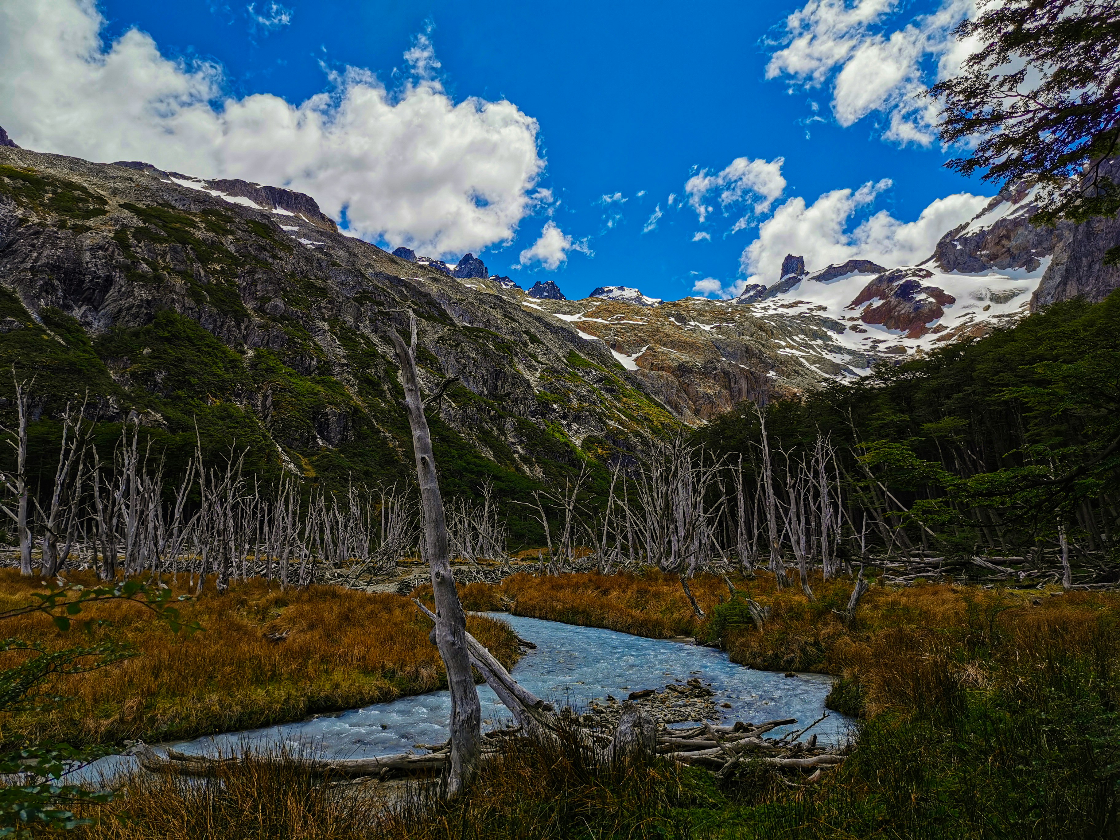 Alpine landscape photograph featuring a winding turquoise stream through a meadow with bare trees and snow-capped mountains under a bright blue sky.
