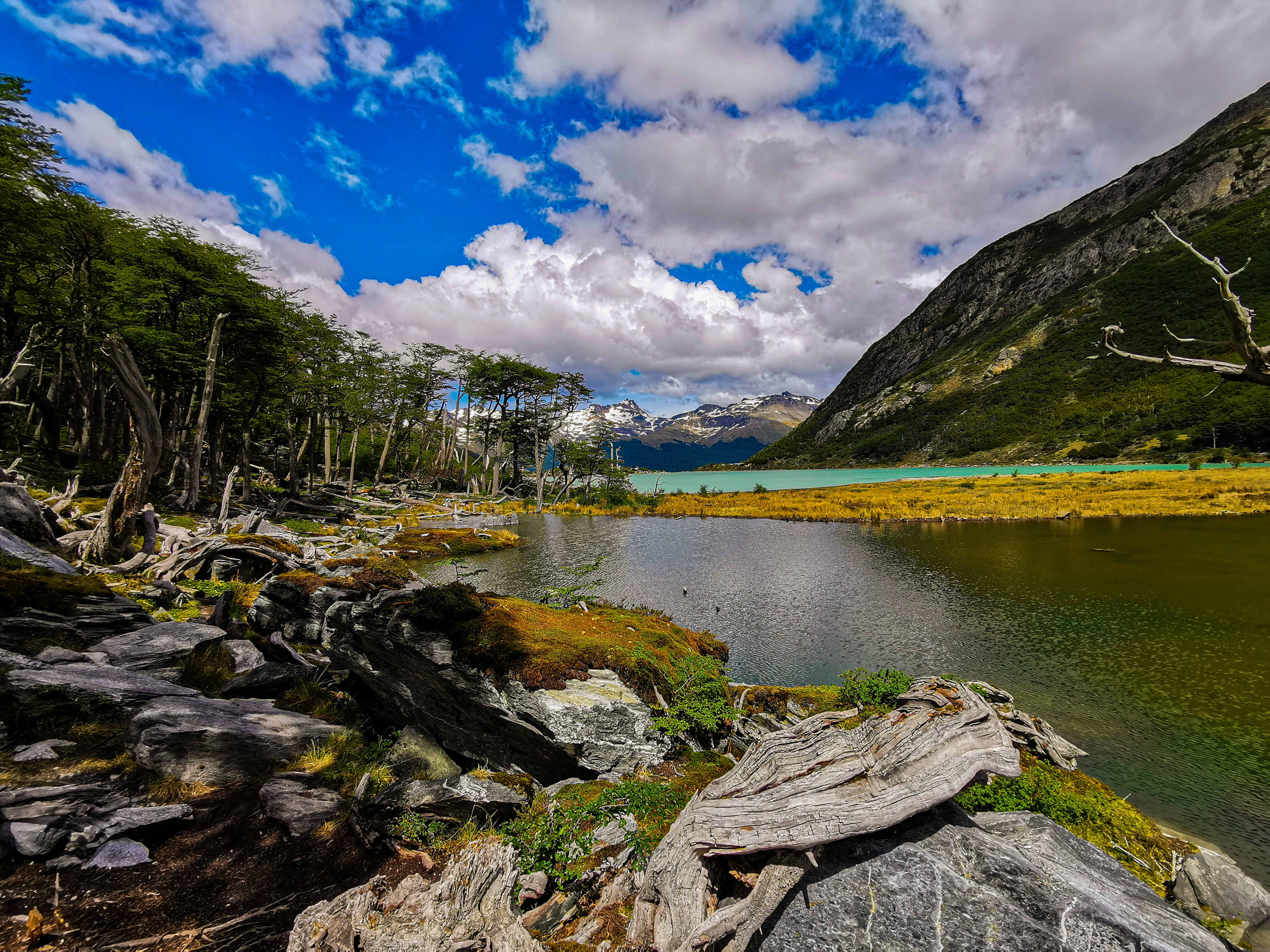 Un río con rocas y árboles foto – Imagen de Laguna Esmeralda gratuita ...