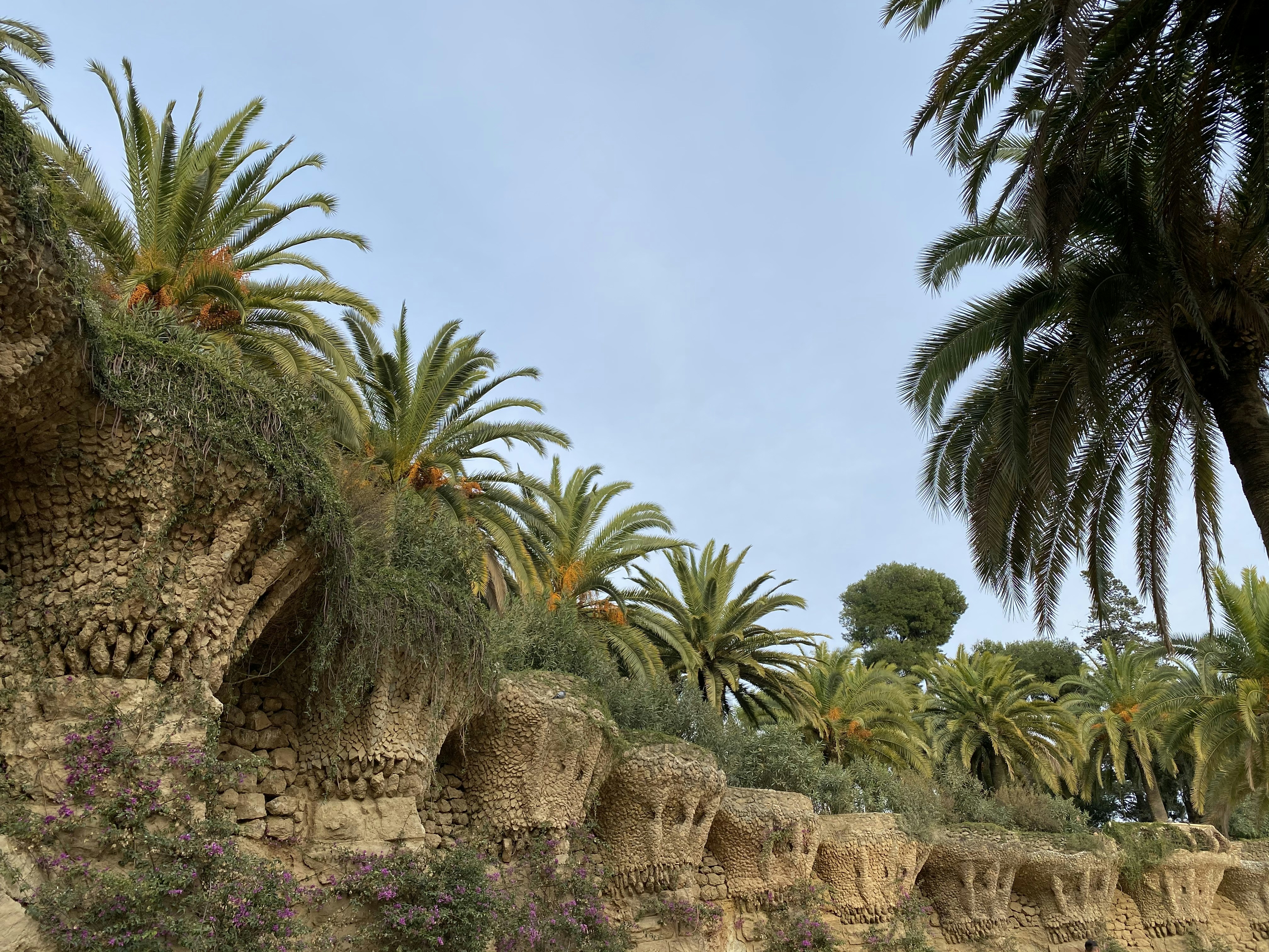 Stone terraces beneath a sky of palm silhouettes