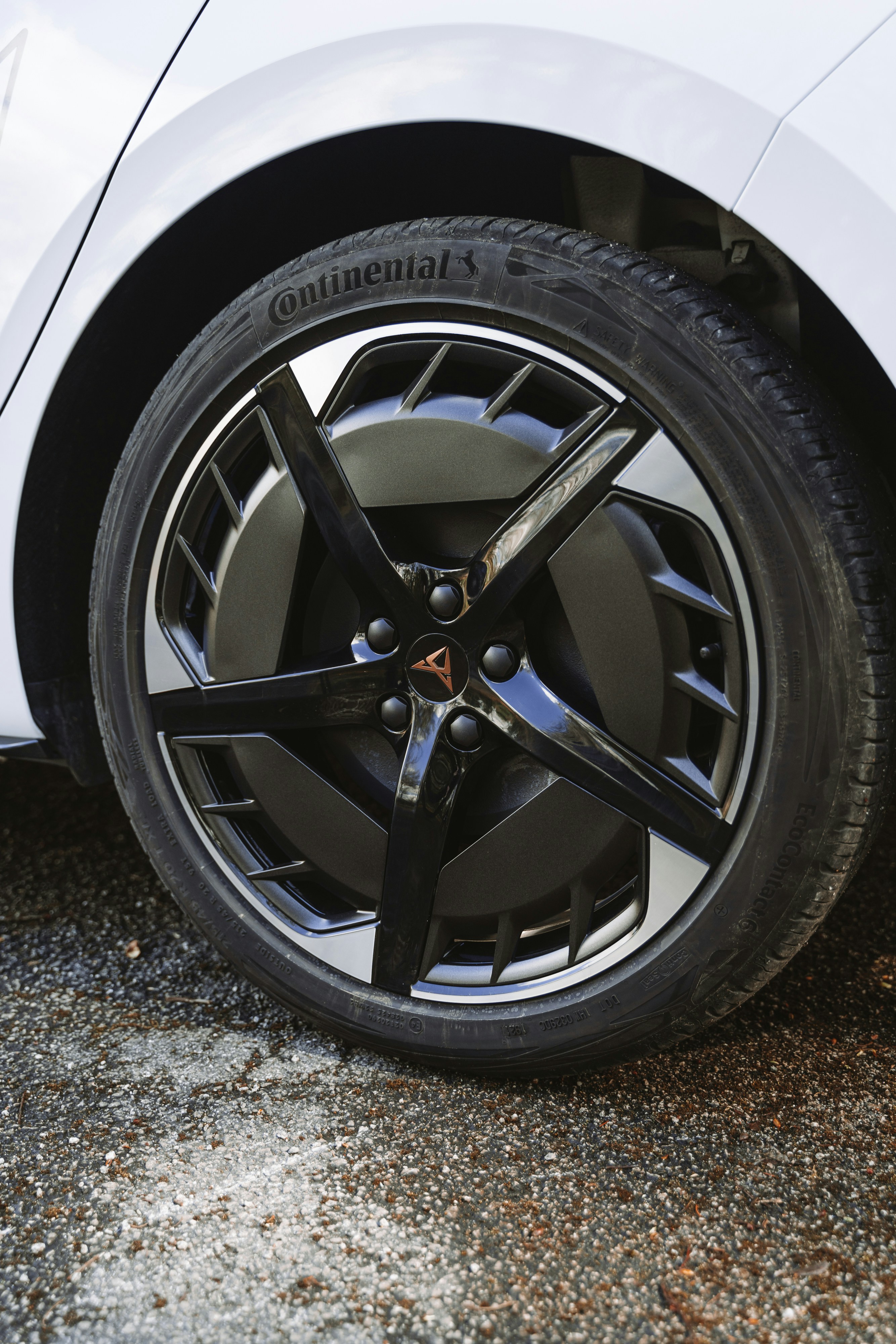 Cupra Née Photos | Télécharger des images gratuites sur Unsplash