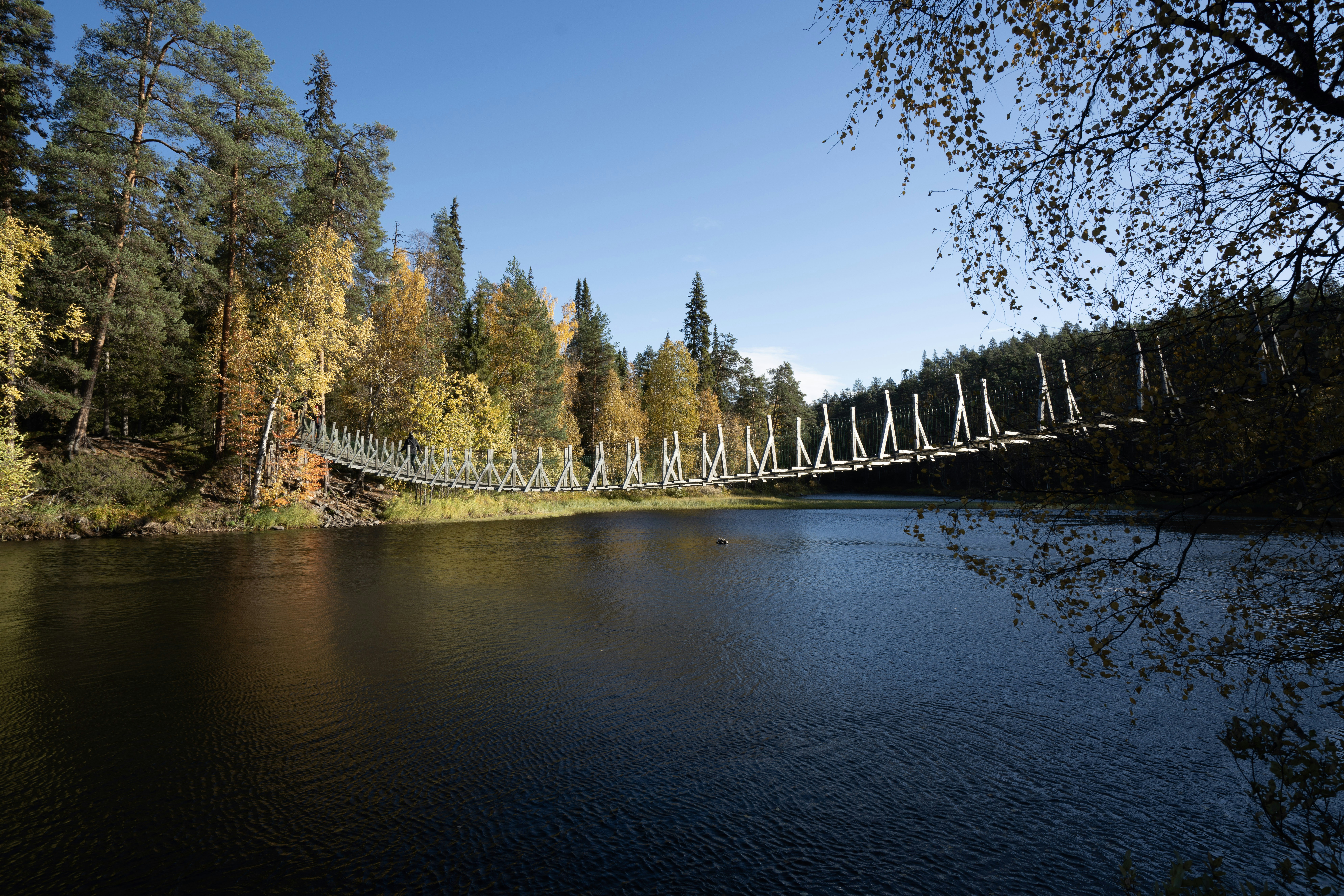 A hanging bridge in the wilderness of Oulanka National Park in Kuusamo, Finland