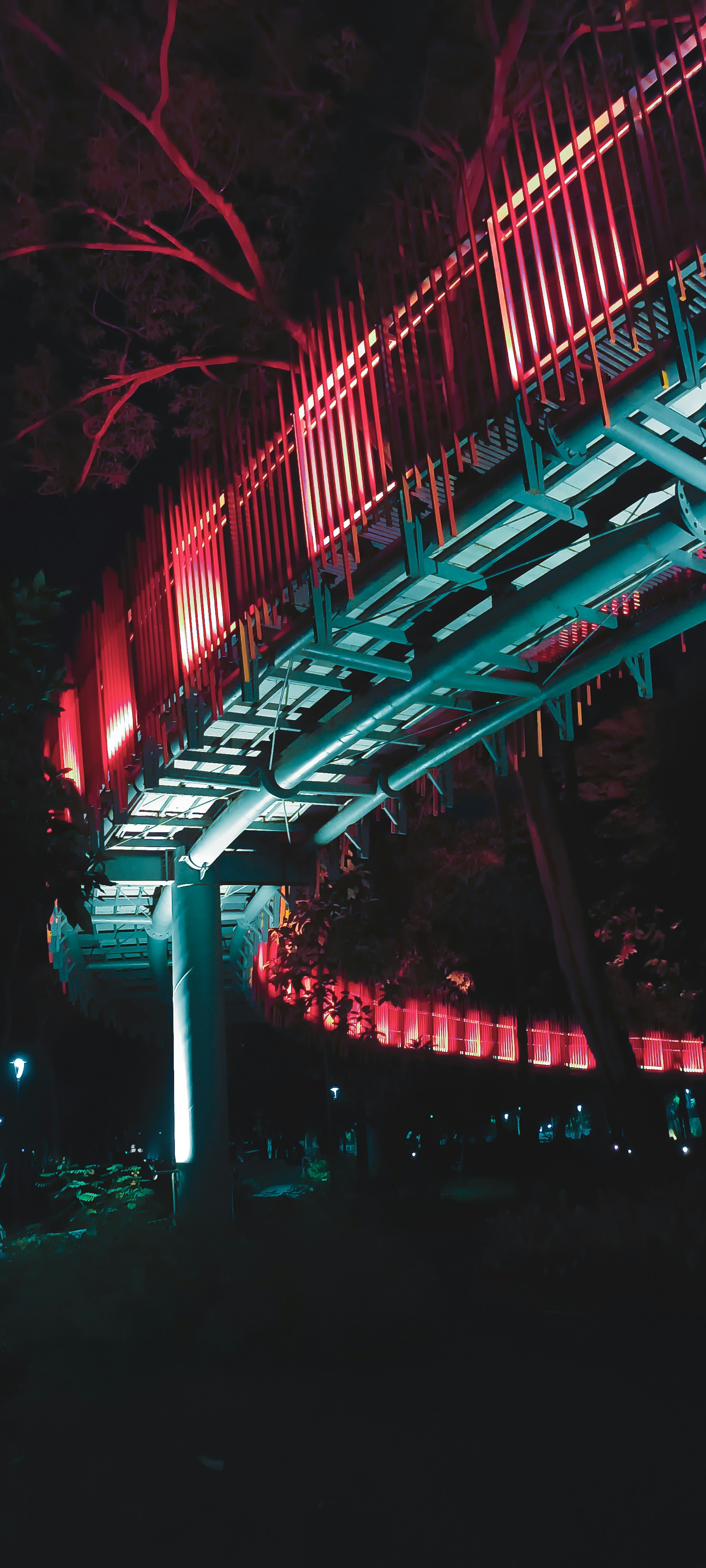Night shot of a neon-lit pedestrian bridge with pink-red railing accents and teal structural beams, set against a dark, leafy backdrop.
