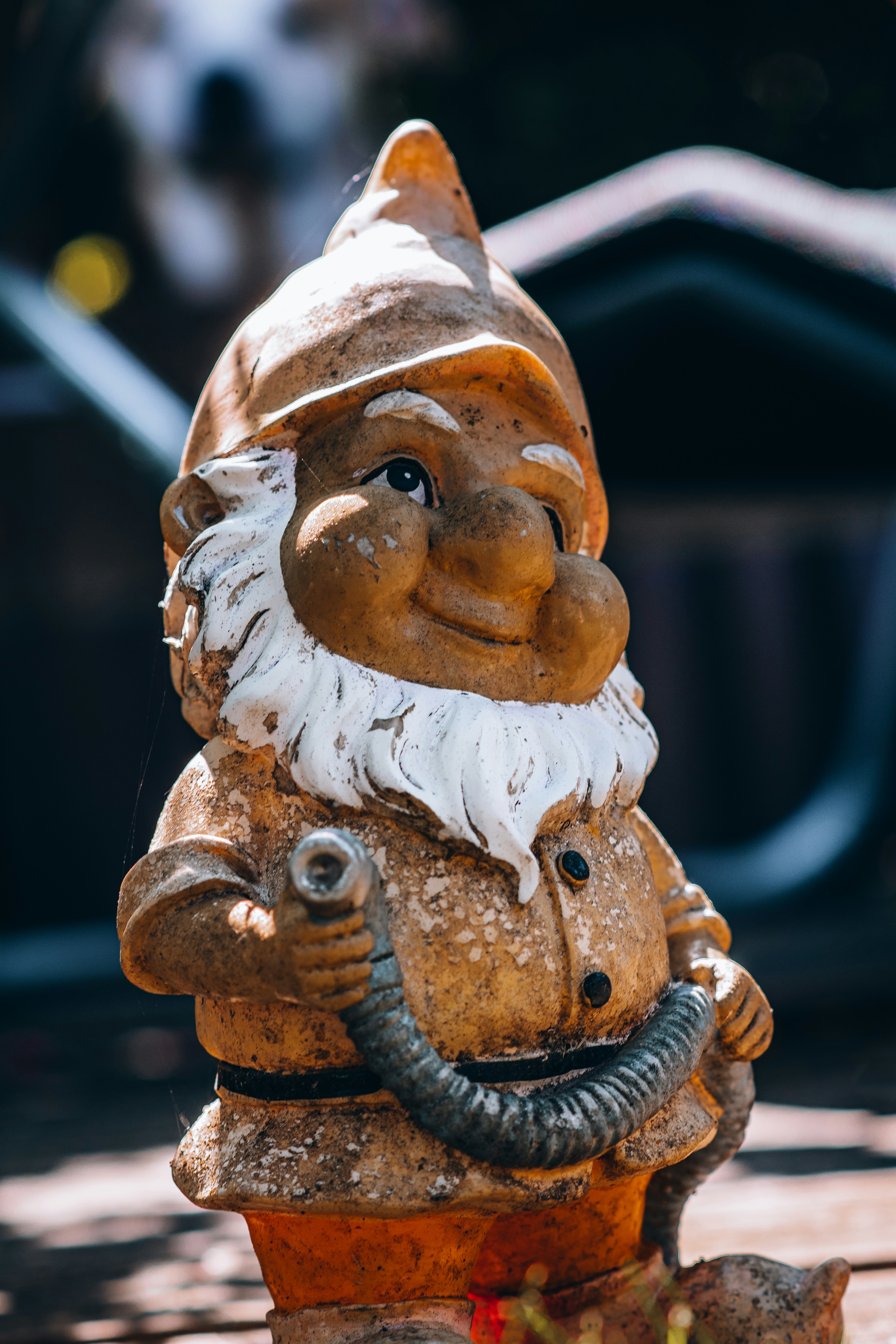Smiling Garden Dnome: A Gnome Statue in Warm Morning Light