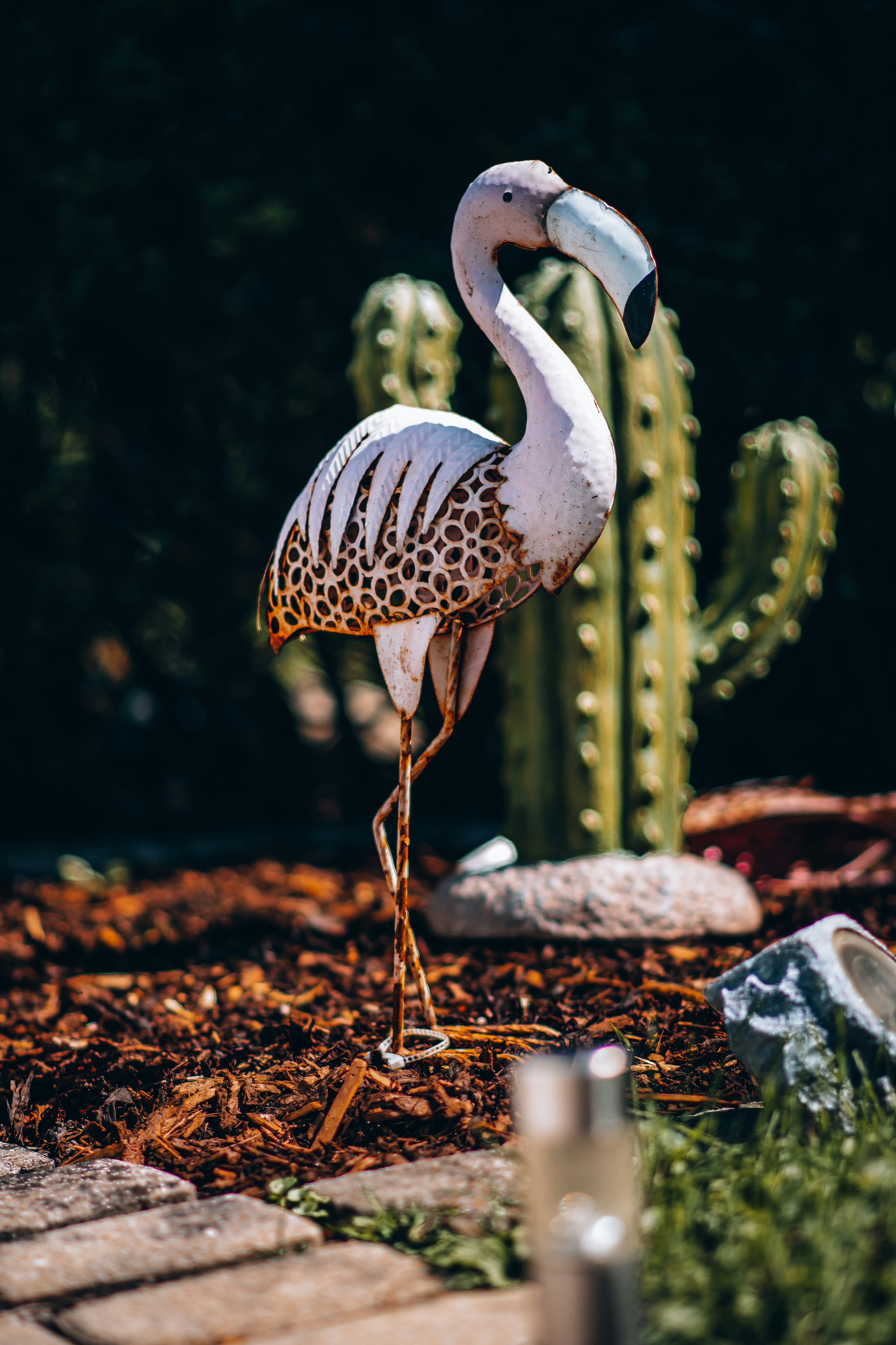 Flamingo among desert guardians: a sculptural moment