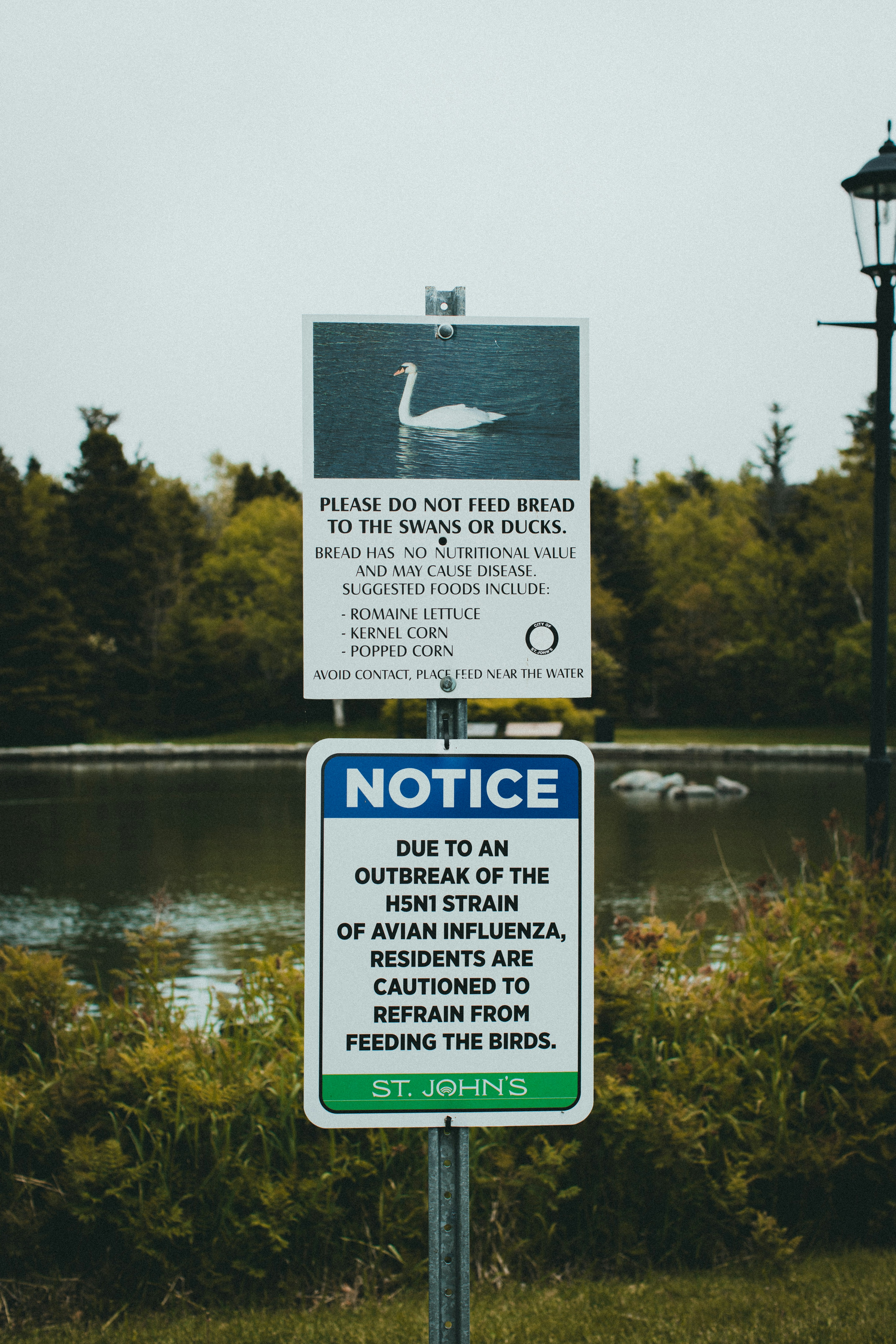Swan Signage Over the Lake: Dual Notices on a Park Post