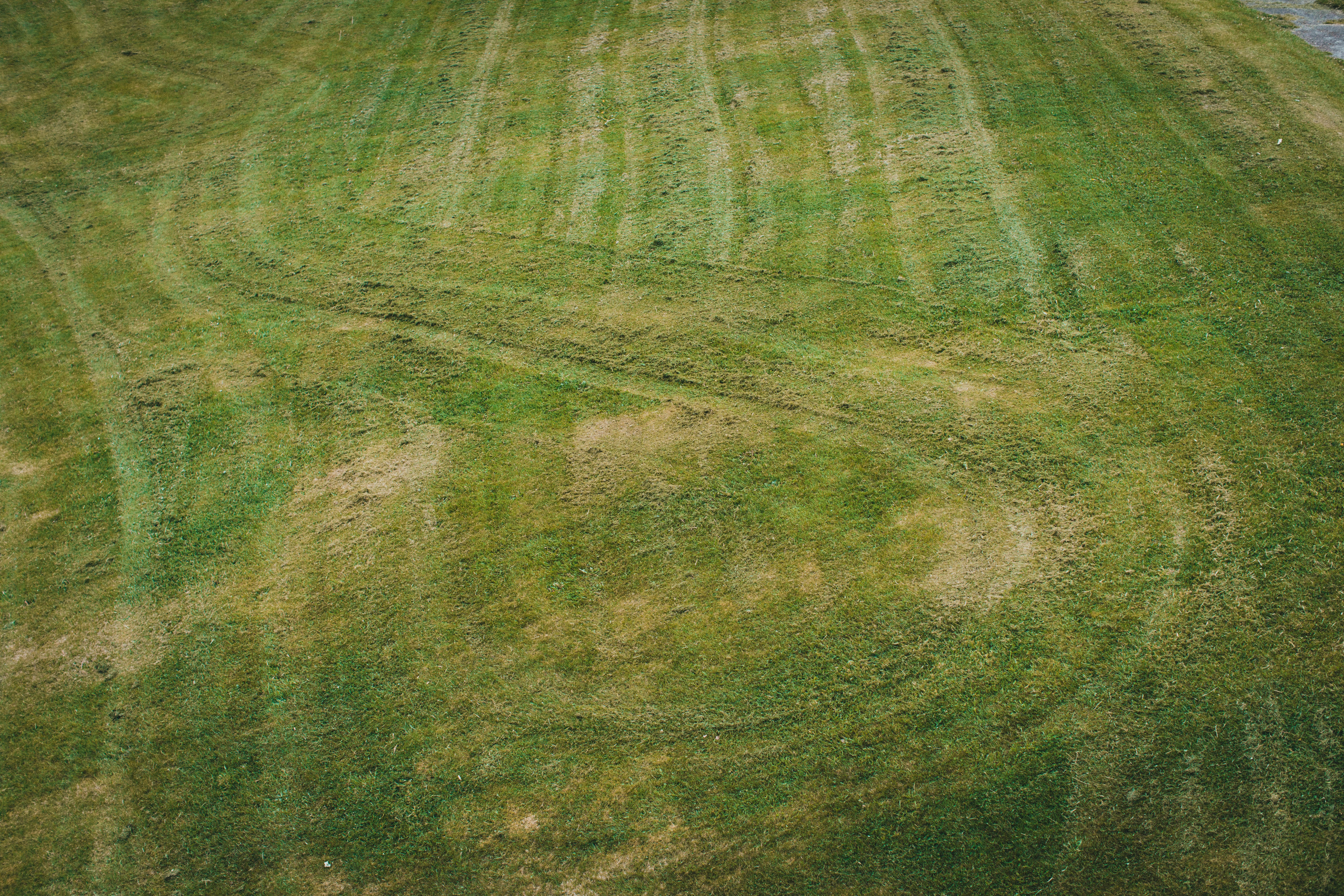 Soft Circles and Stripes: An Aerial Study of a Mown Field