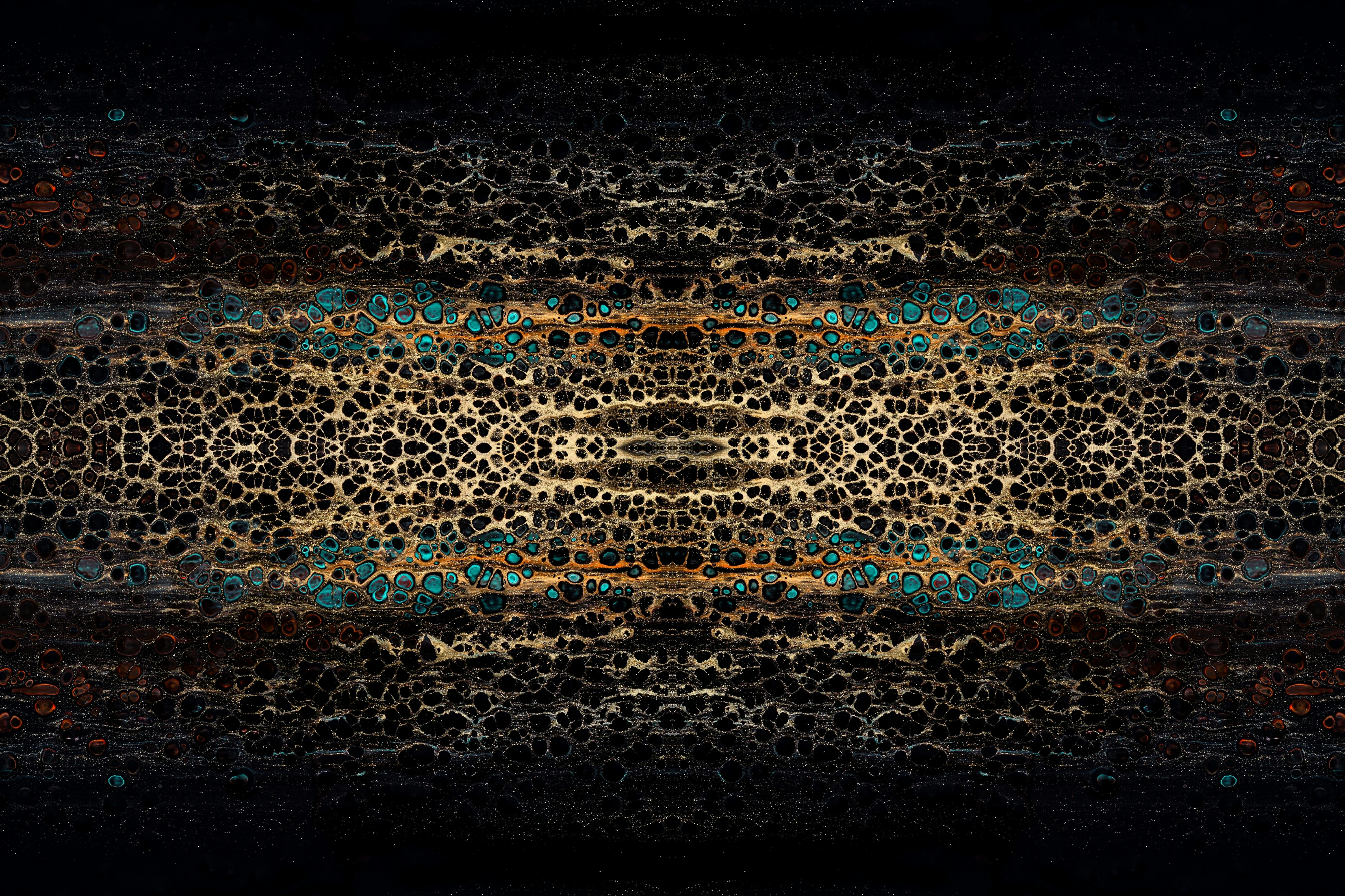 Leopard Print Wallpaper Pictures | Download Free Images on Unsplash