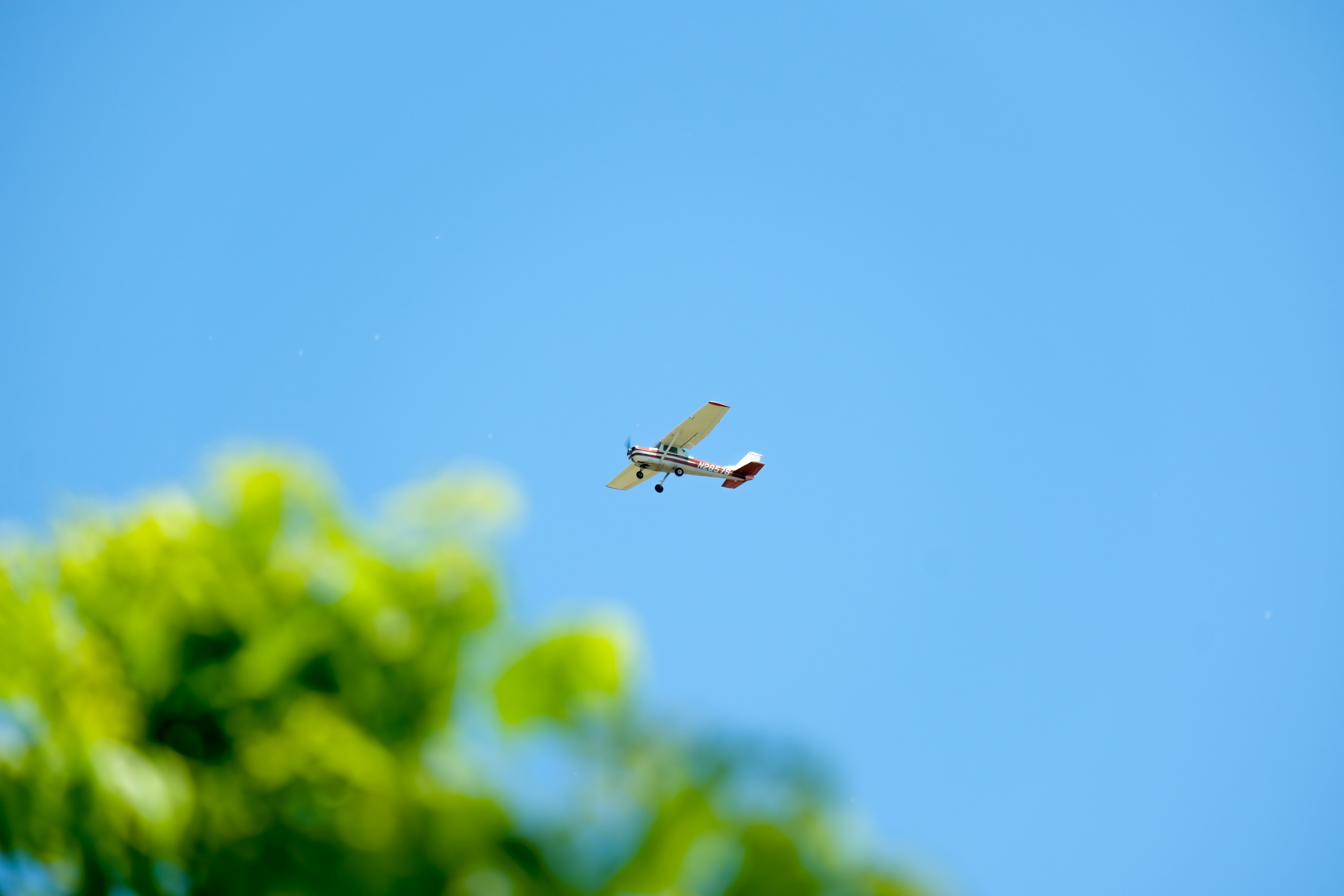 Tiny Plane Soars Over Dappled Treeline Under Clear Blue