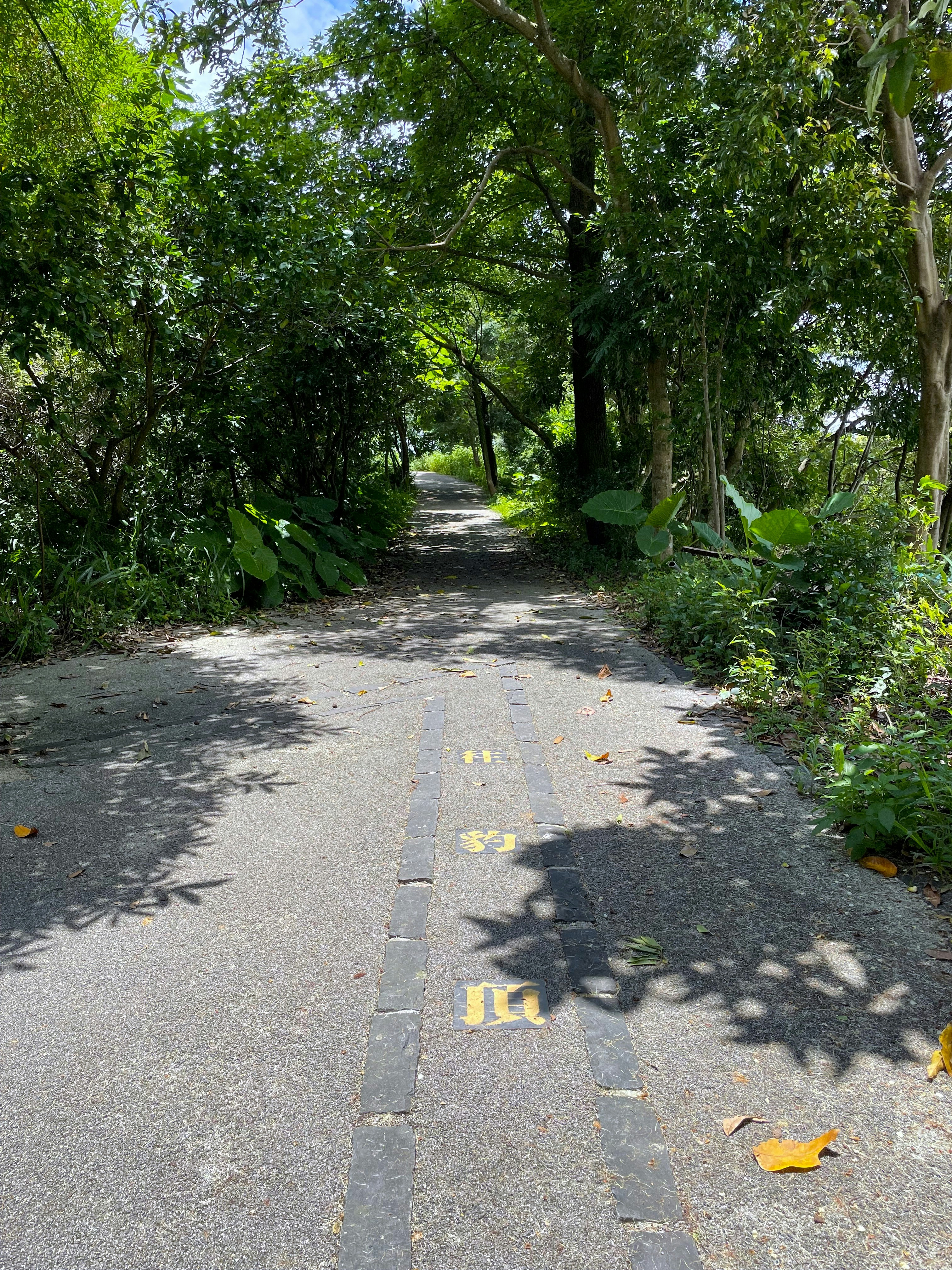 Une route pavée avec des arbres de chaque côté photo – Photo Chemin ...