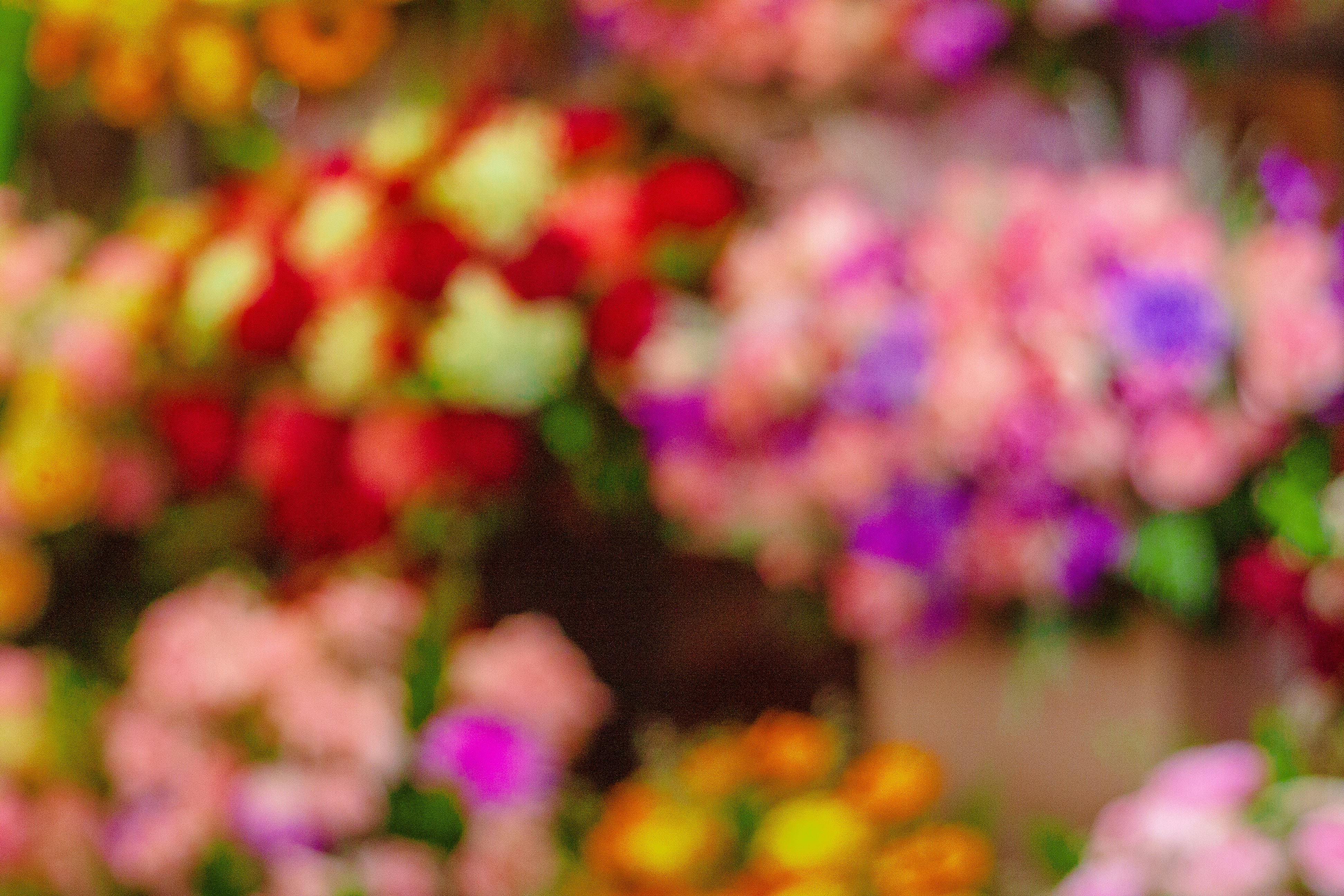 Chromatic Blur: a Soft Focus Bouquet