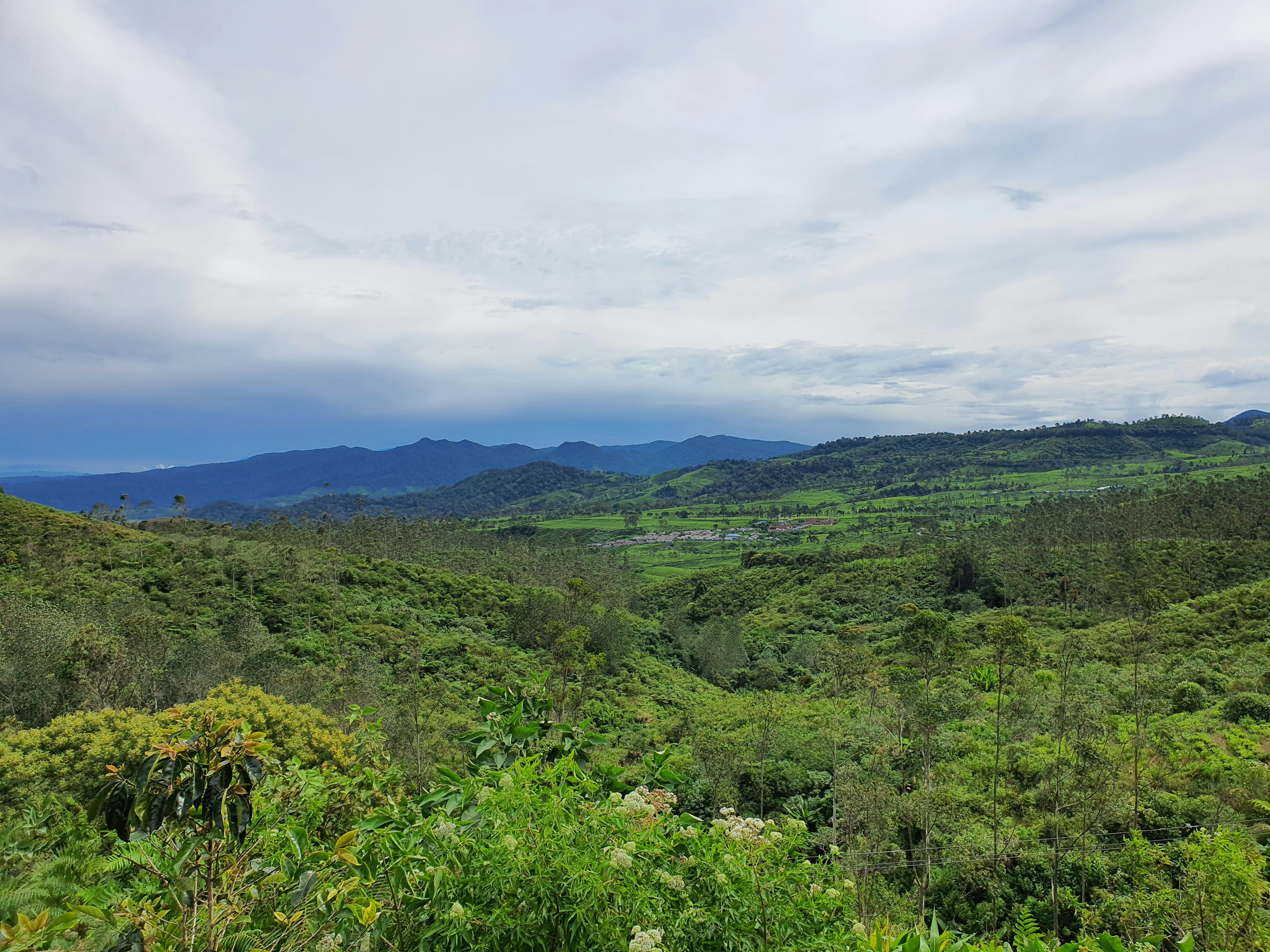 My Trip My Adventure "Negeri Diatas Awan" | a landscape with trees and hills