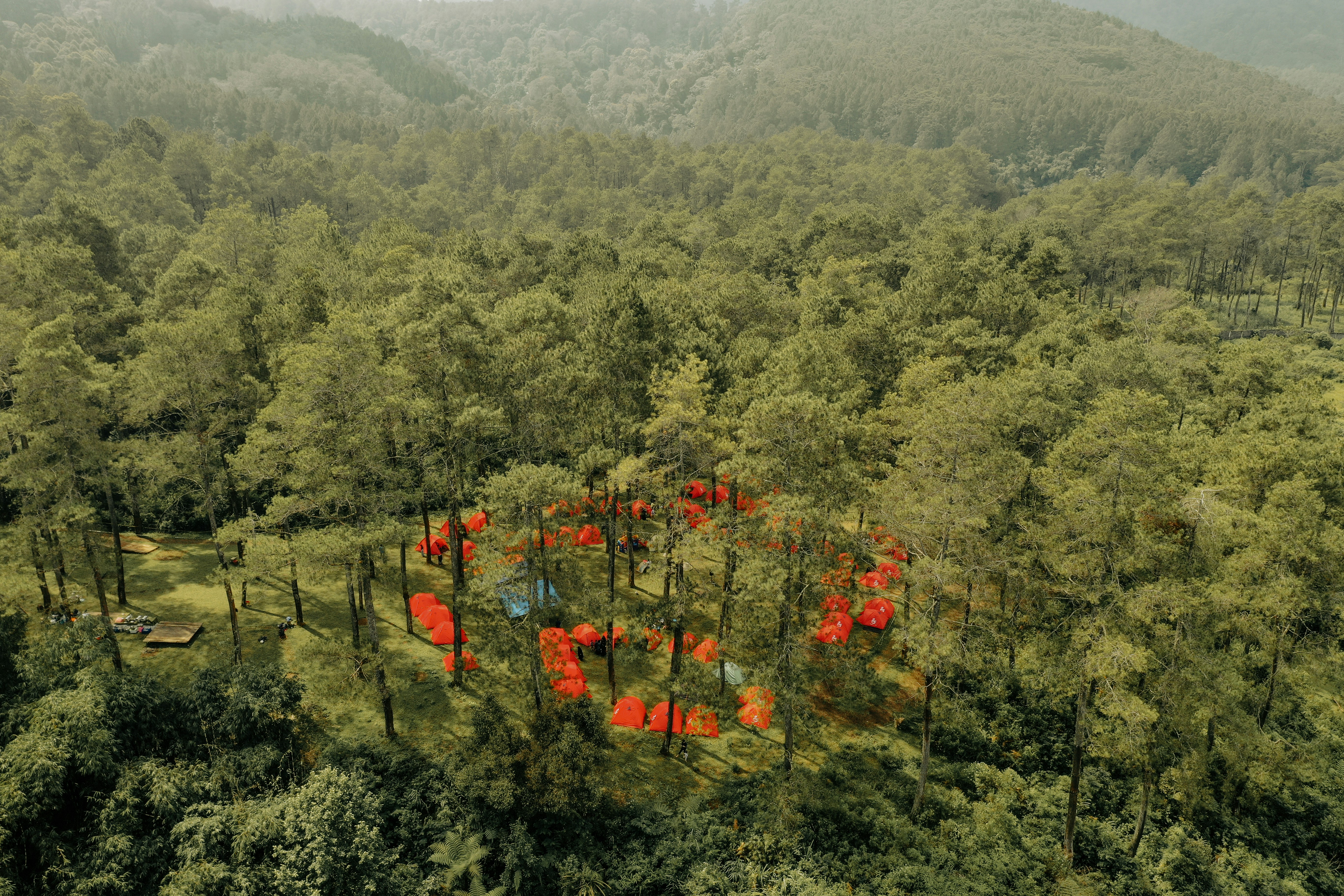 Ember Ring in the Pines: An Aerial View of a Circular Red Installation