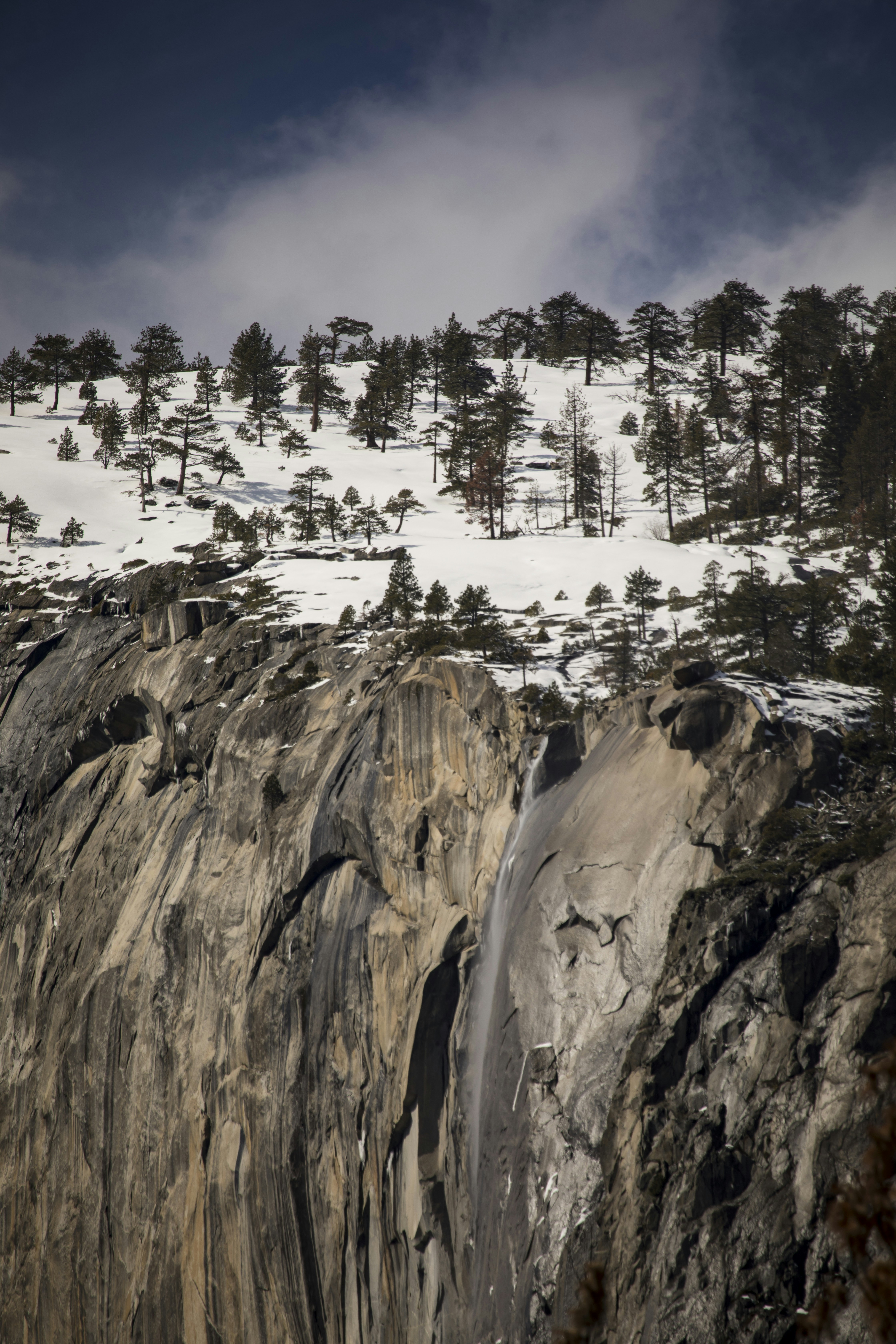 A rocky cliff with trees on it photo – Free Grey Image on Unsplash