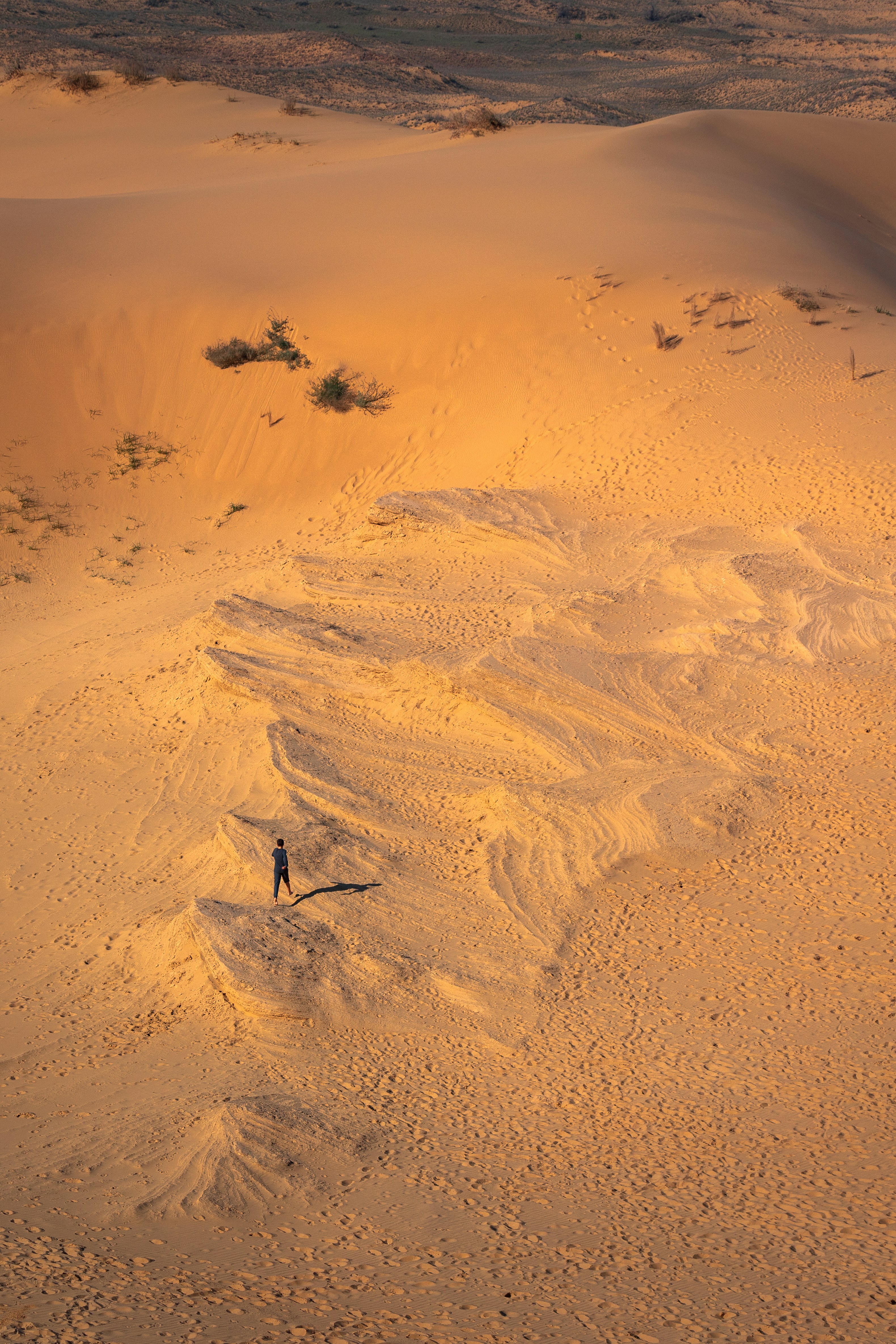 Lone Traveler Tracing Shadows Across a Golden Dune