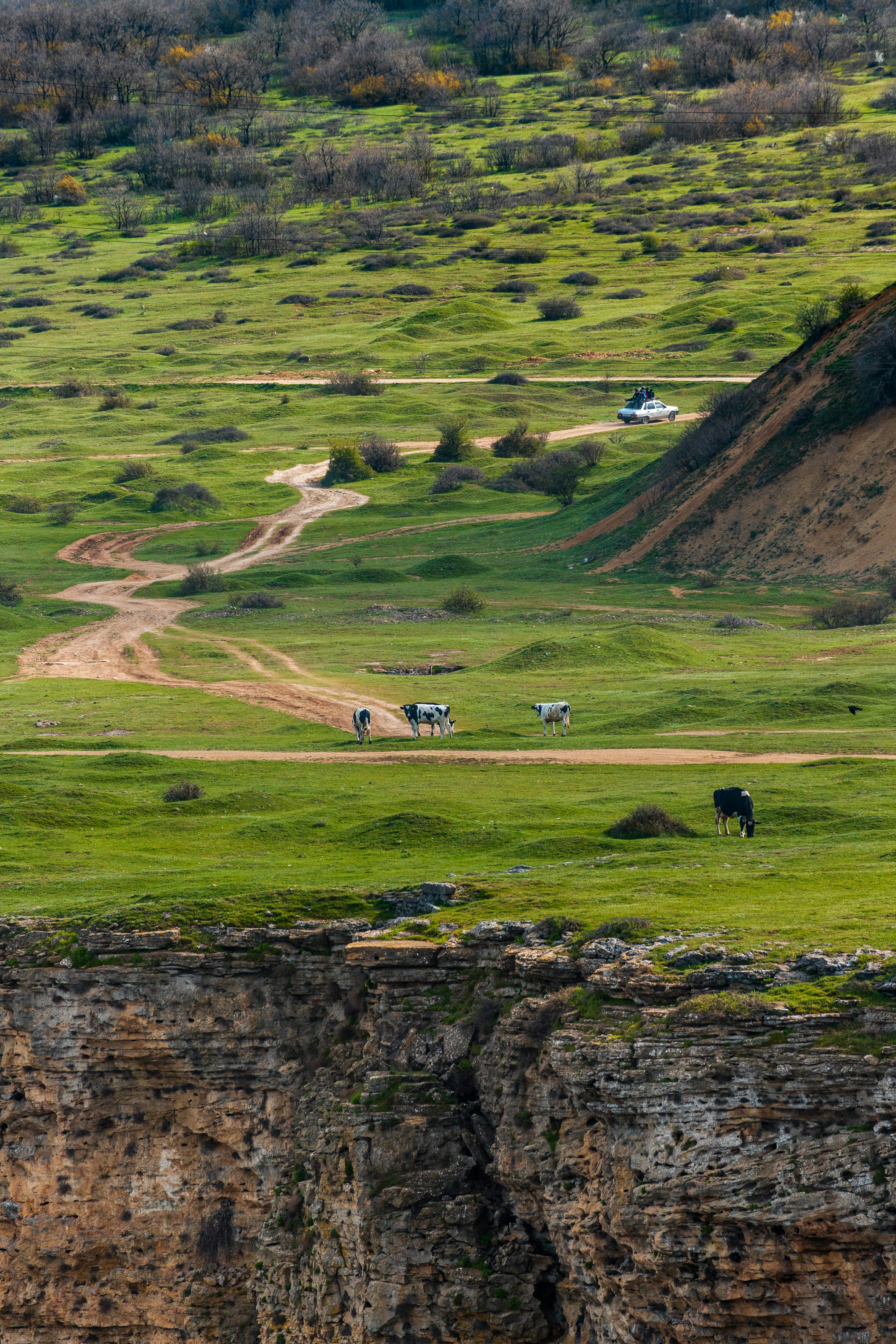 Ribbon Road Through the Green Cliffs